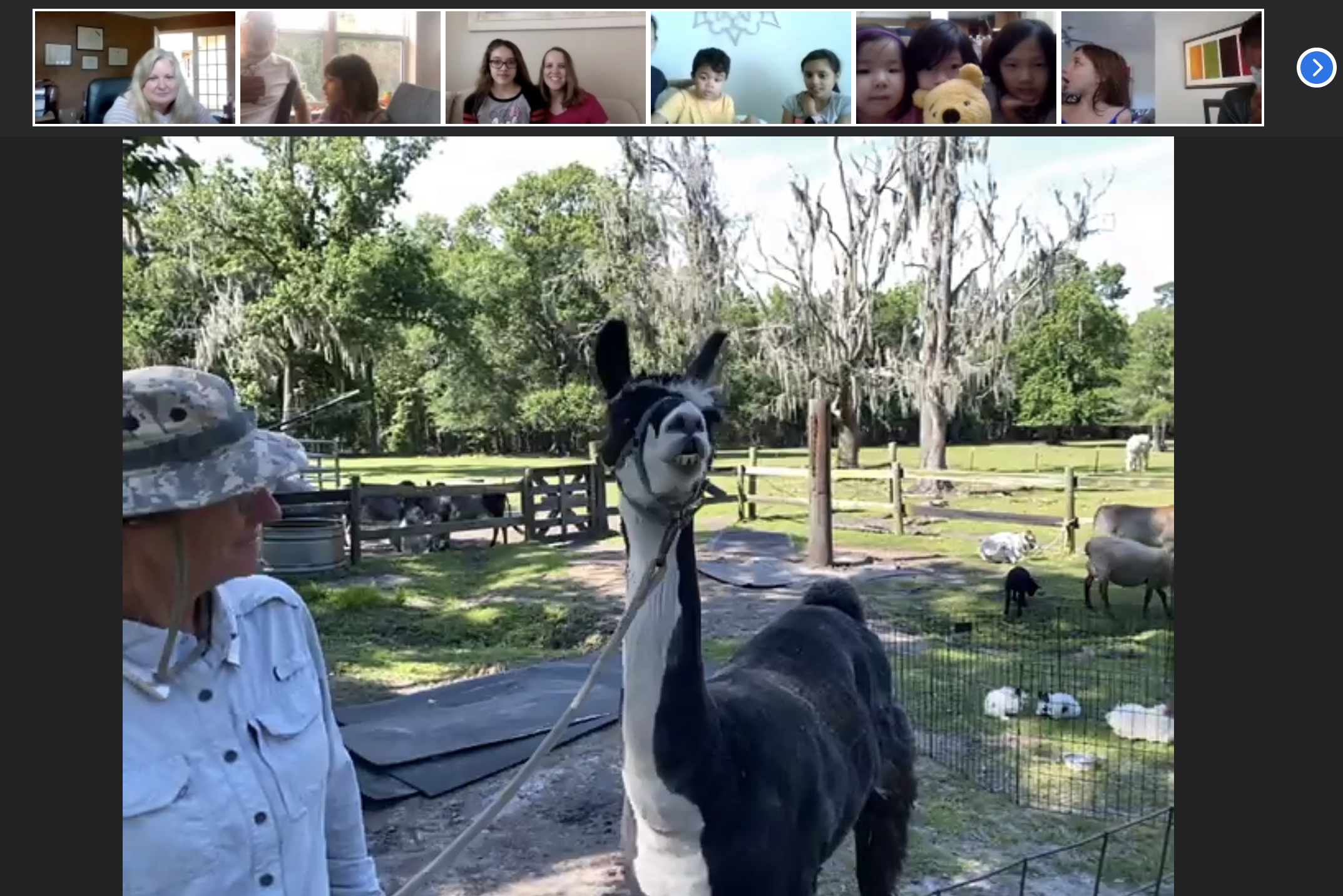 Conference calls with farm animals — Bonnie Doone Farm