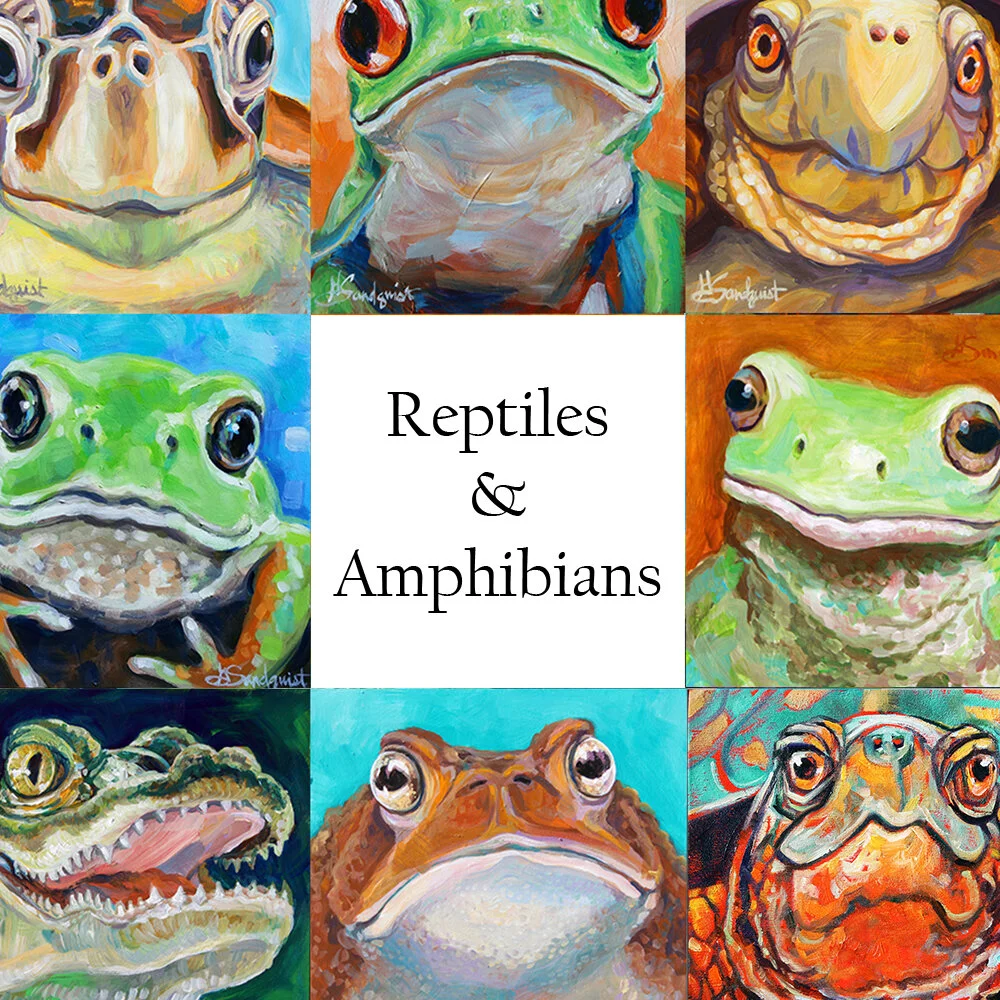 Pictures Of Amphibians To Print