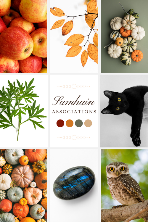 Samhain Associations: Correspondences and Symbols for the Witch's New Year