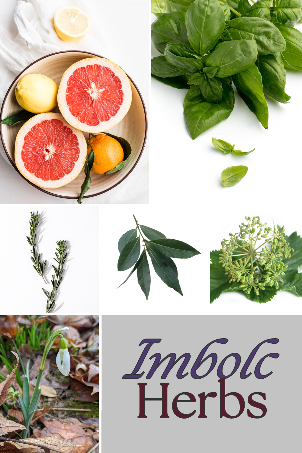 Imbolc Associations
