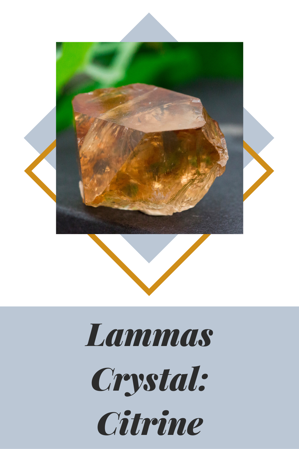 Lammas Associations