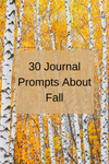 Journal Prompts for Adults (Heliodor Press)