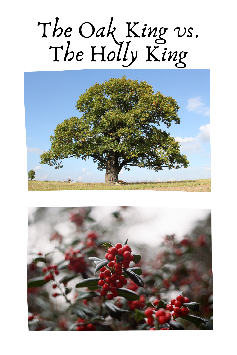 The Oak King and The Holly King: The Eternal Battle Between Summer and ...
