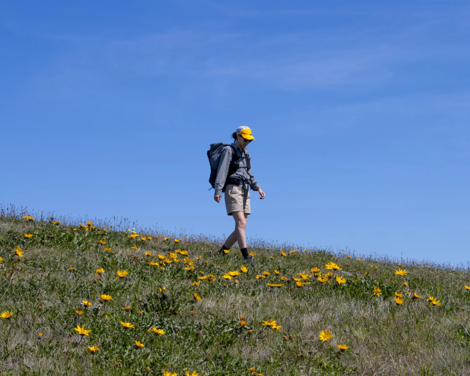 Shop All Styles — PARAPACK