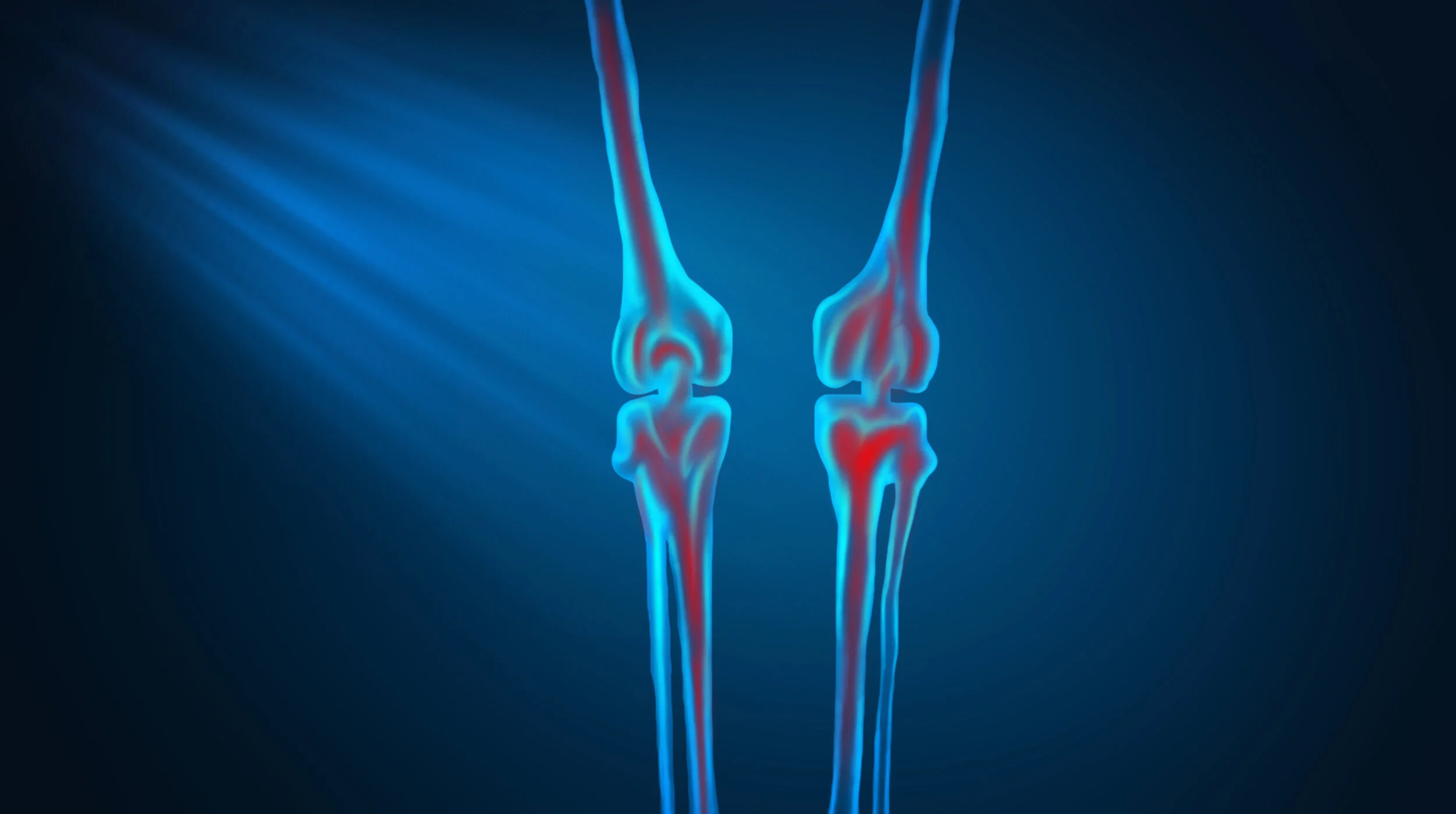 Human Leg Joints