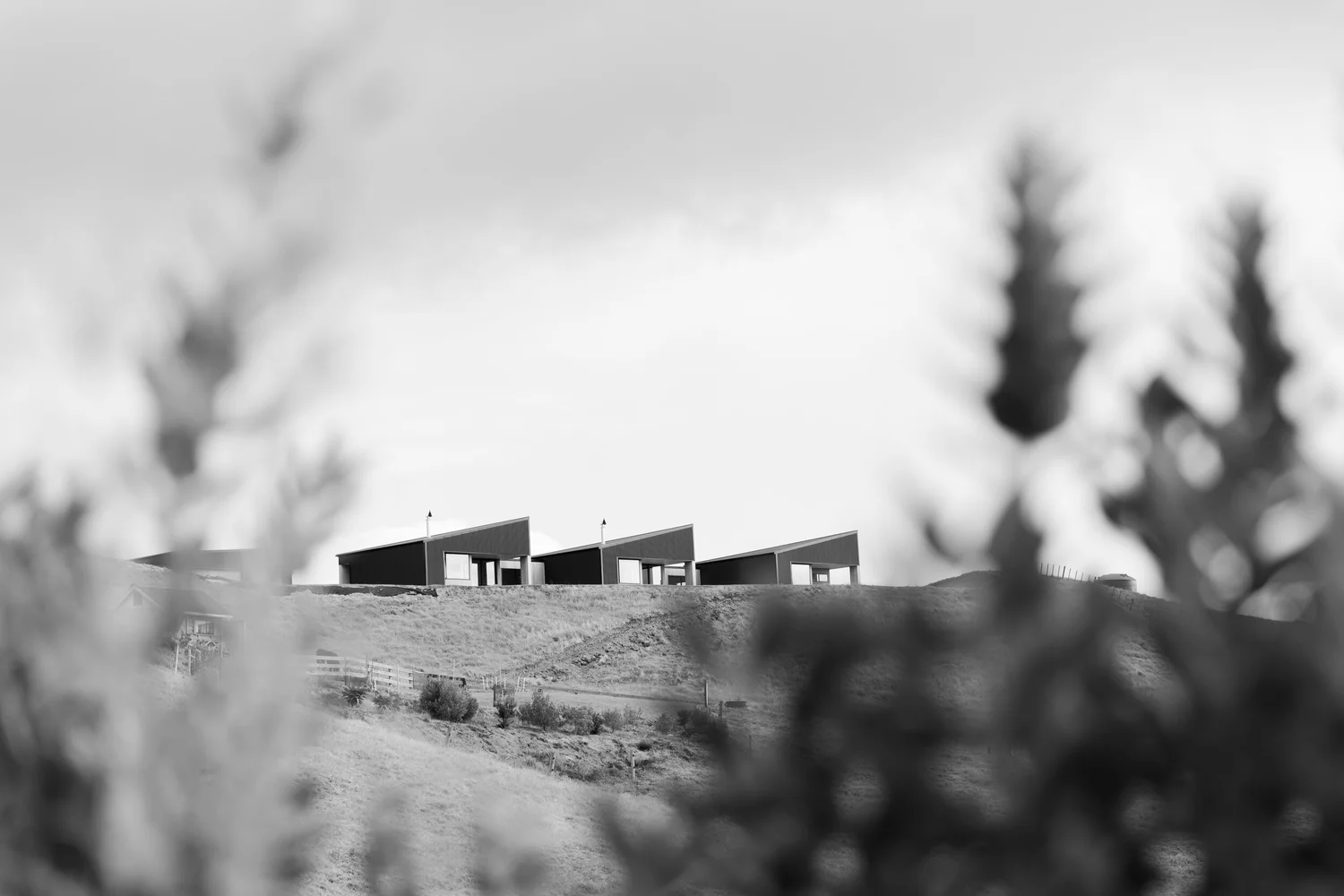 Testimonials — Perry Architecture + Design