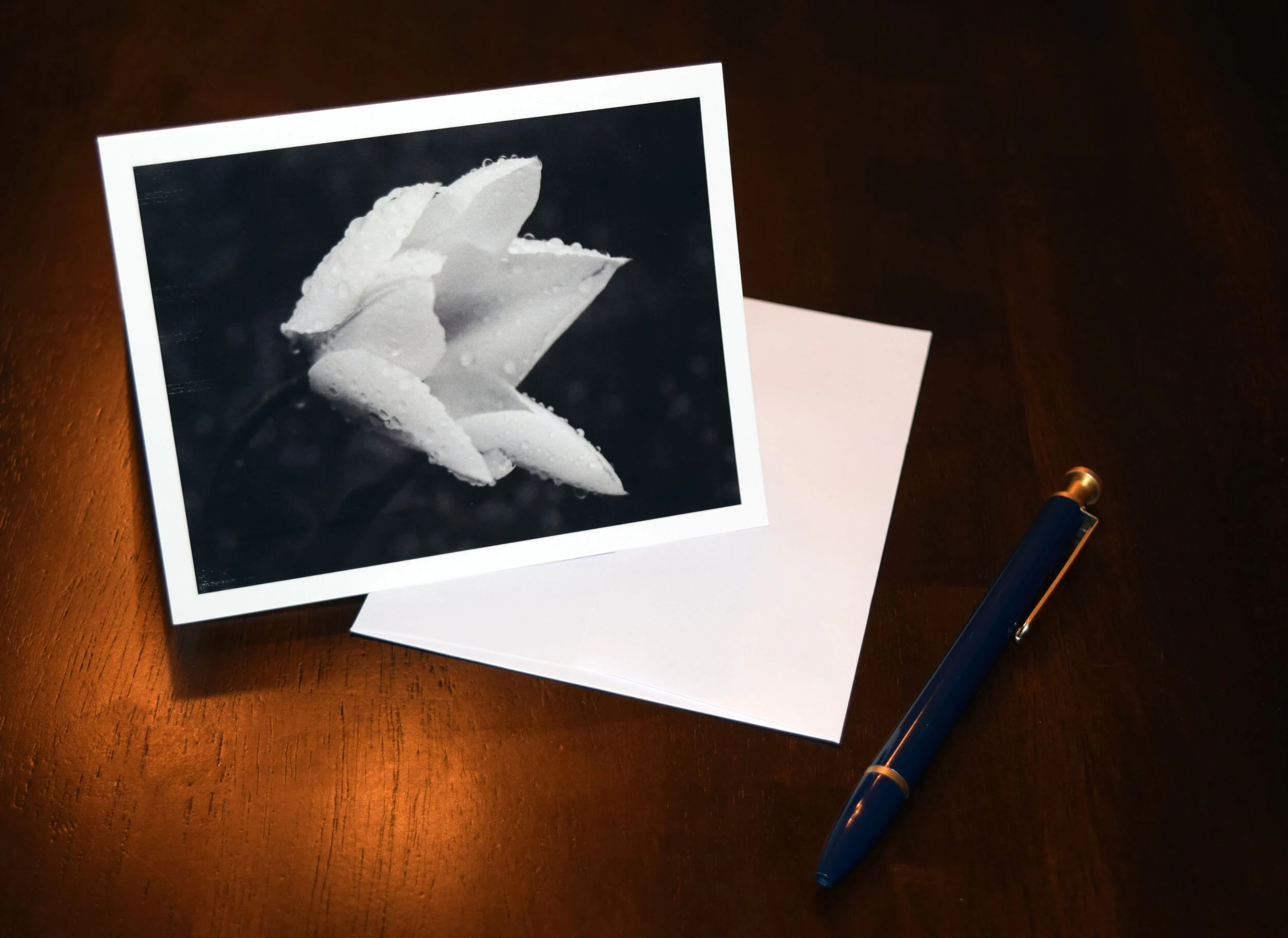 Sunrise Beach Blur Cards - Taken on Sea Bright Beach in New Jersey ...