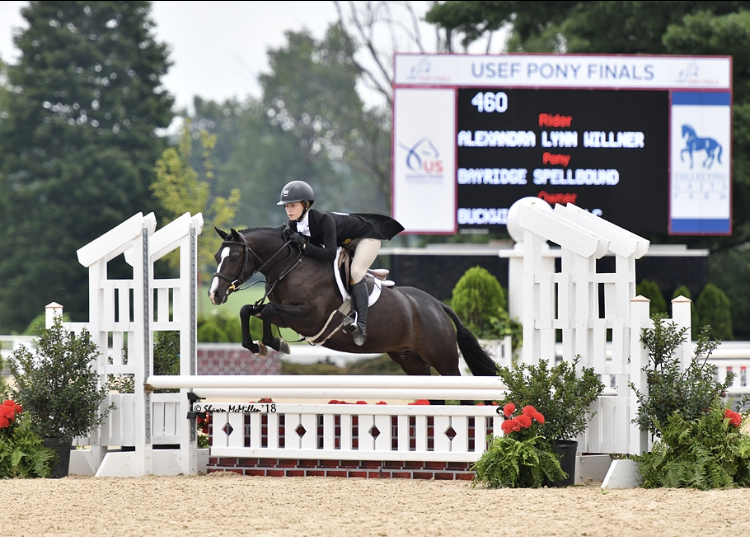 Natural Equine Essentials