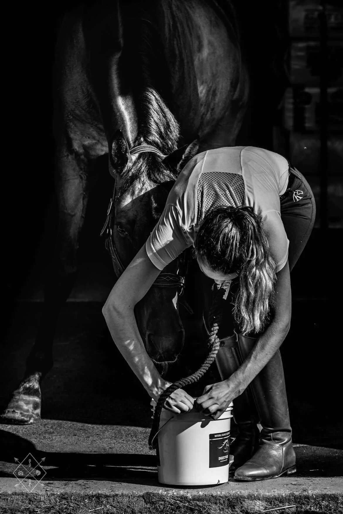 Natural Equine Essentials