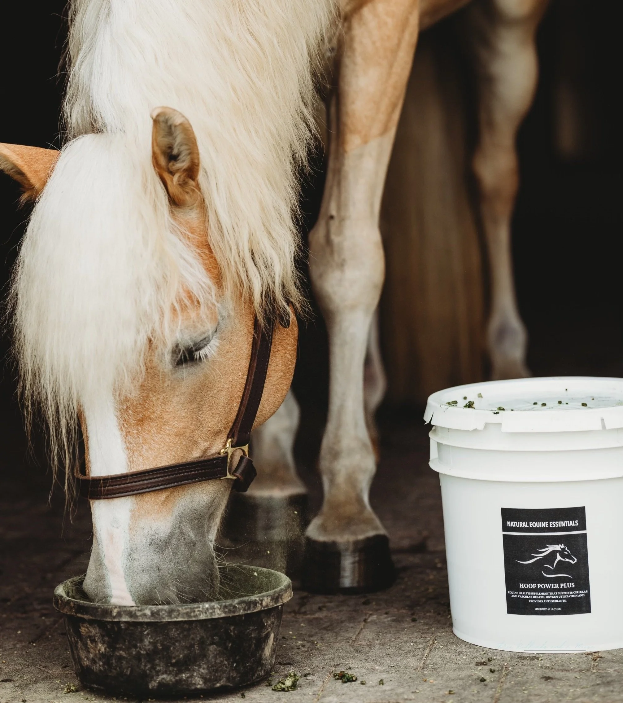 Natural Equine Essentials