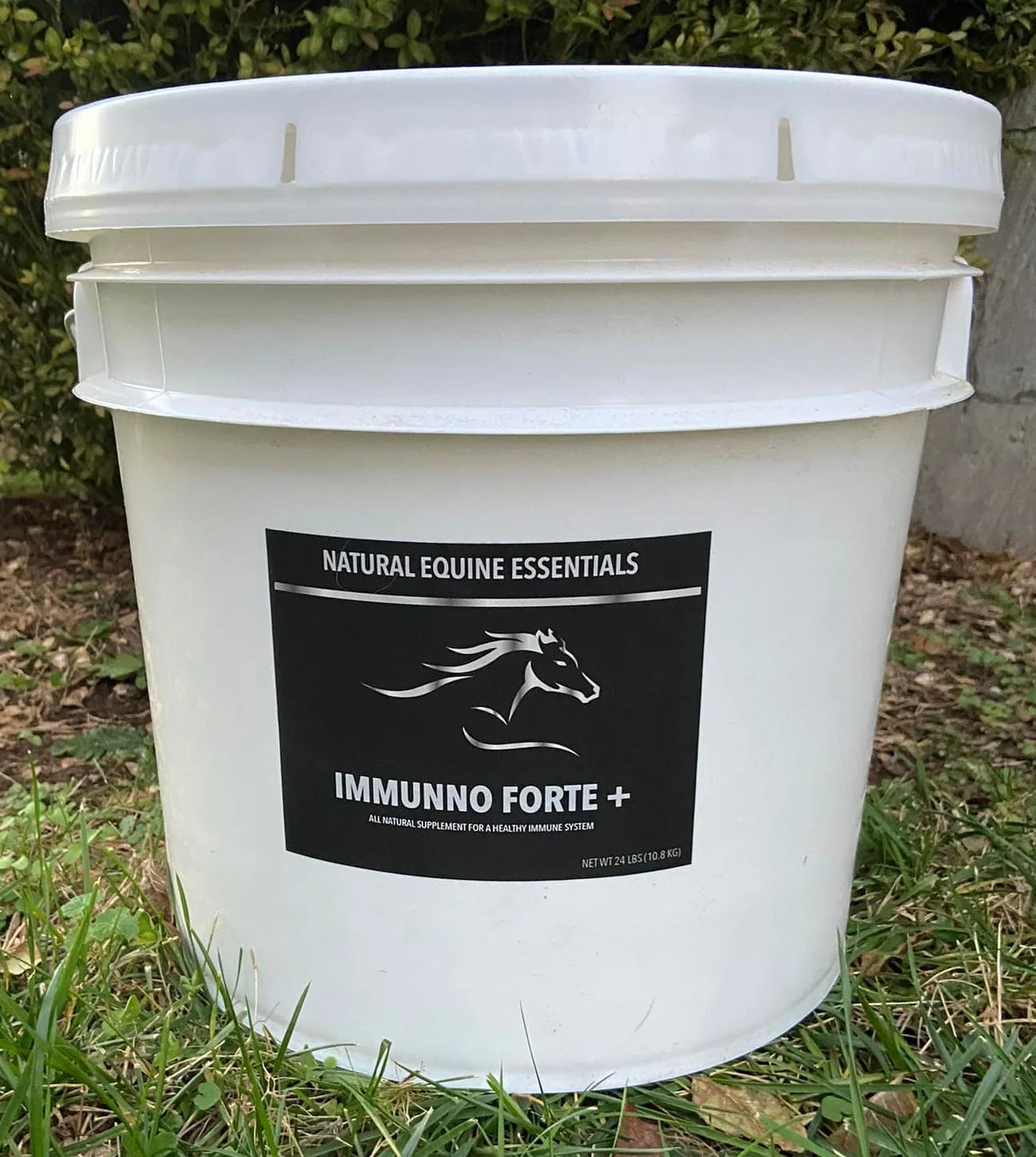 Natural Equine Essentials
