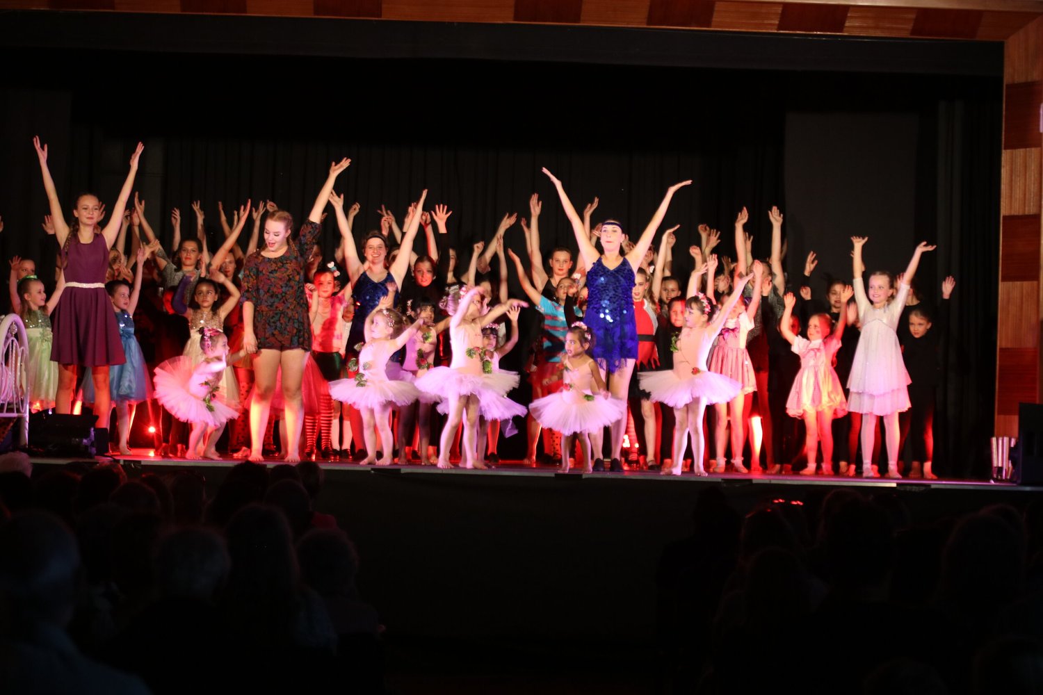 Contact — Precision Dance