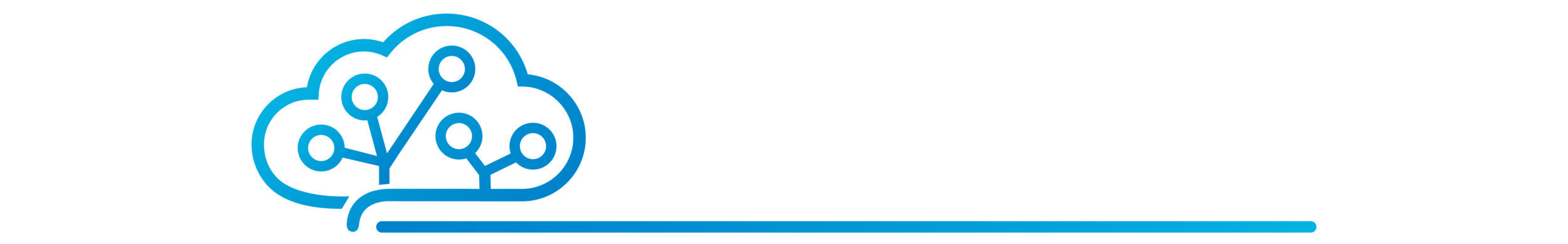 Medulla