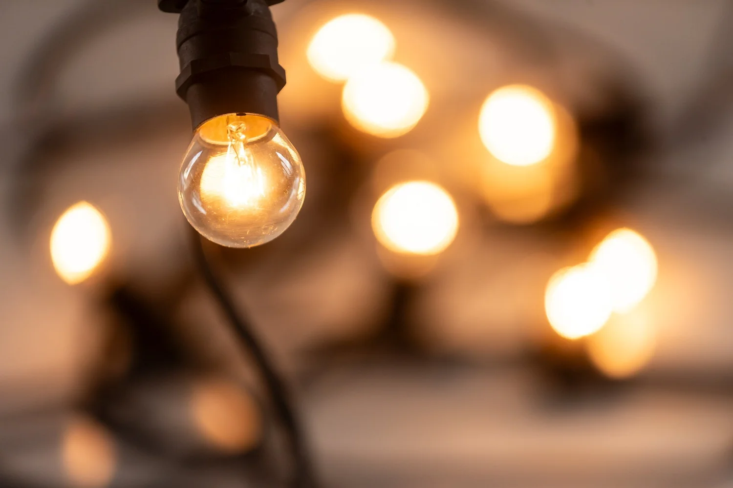 Gallery 1 — Heart and Timber Event Hire