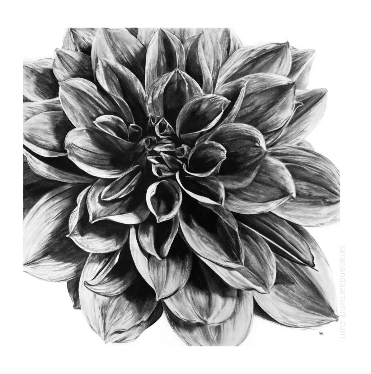 General 5 — SARA RIANDA ARTWORK