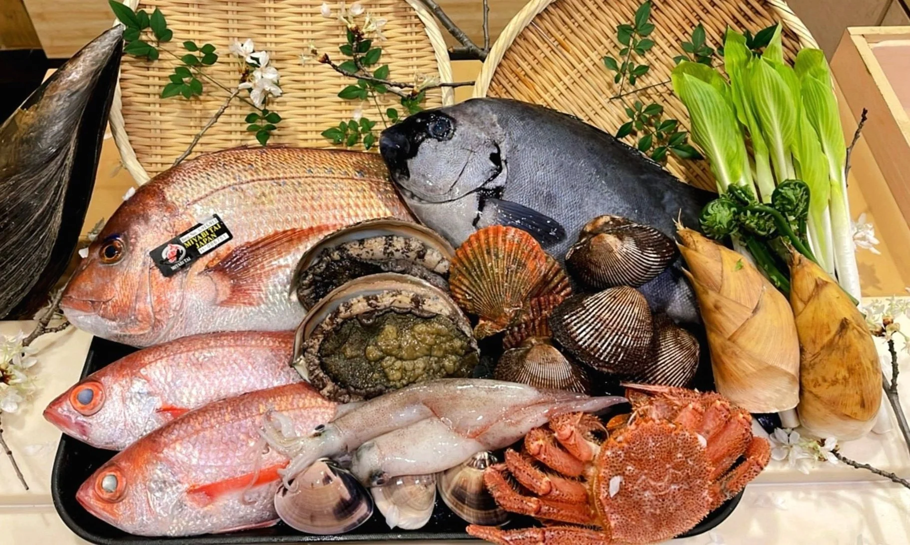 Shinzo Japanese Cuisine