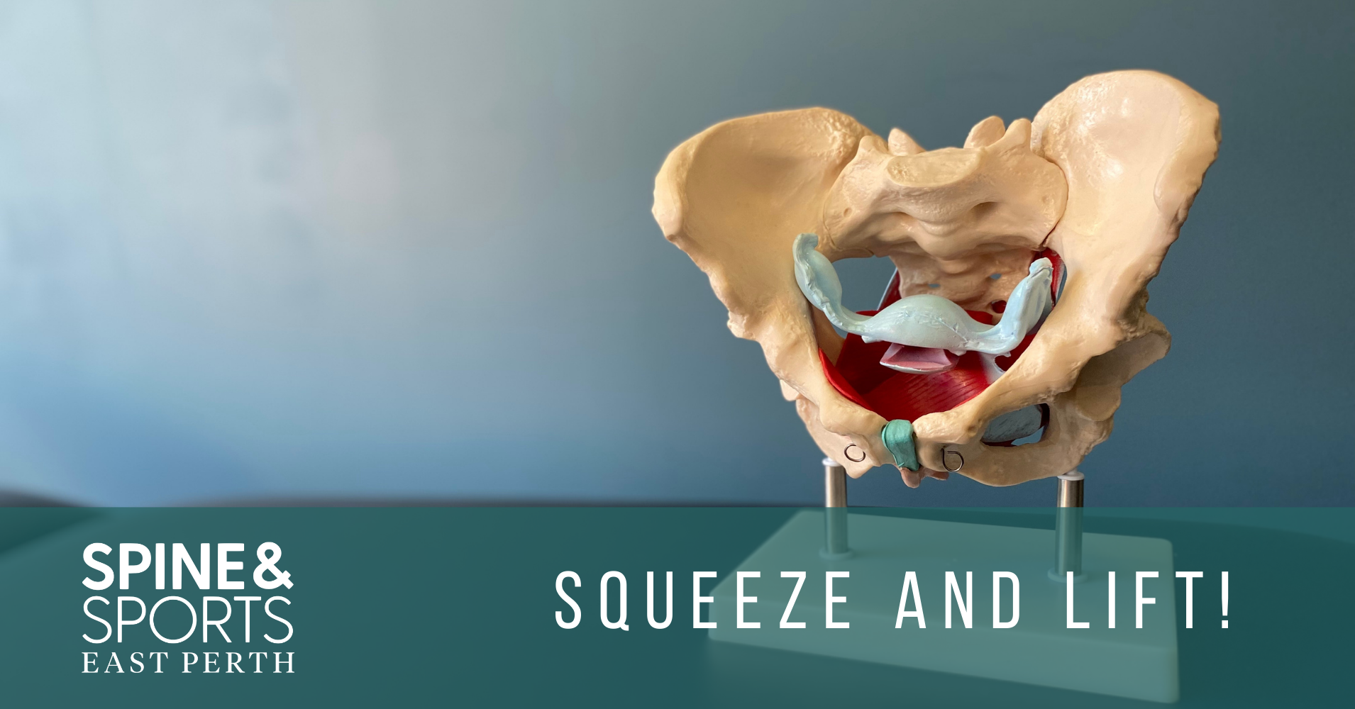 Do More With a Strong Pelvic Floor | Spine & Sports East Perth