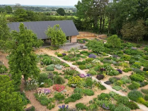 Serge Hill Project — Sue Stuart-Smith