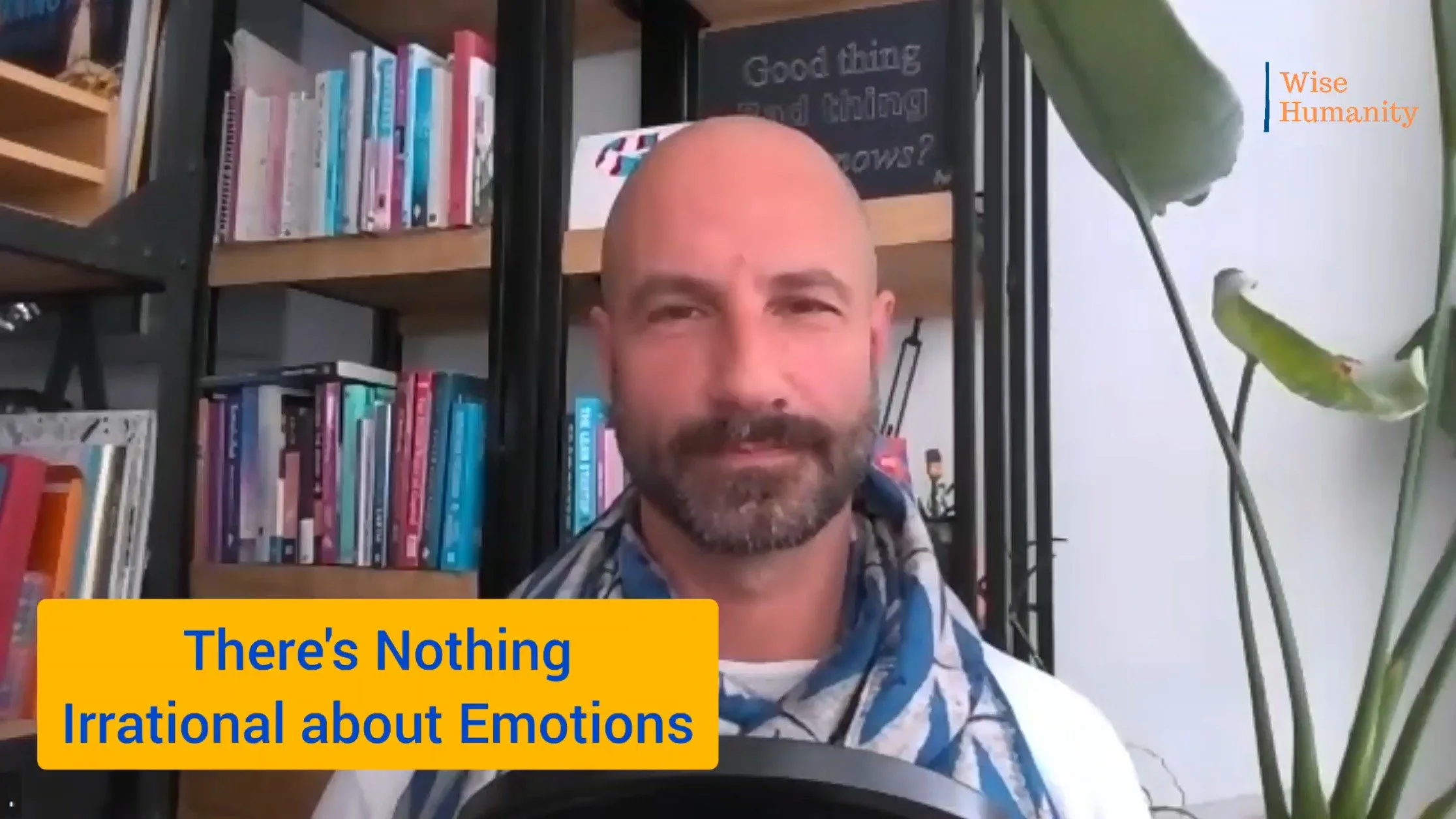 Learn from Your Emotions, there’s Nothing Irrational about Them - Wise ...