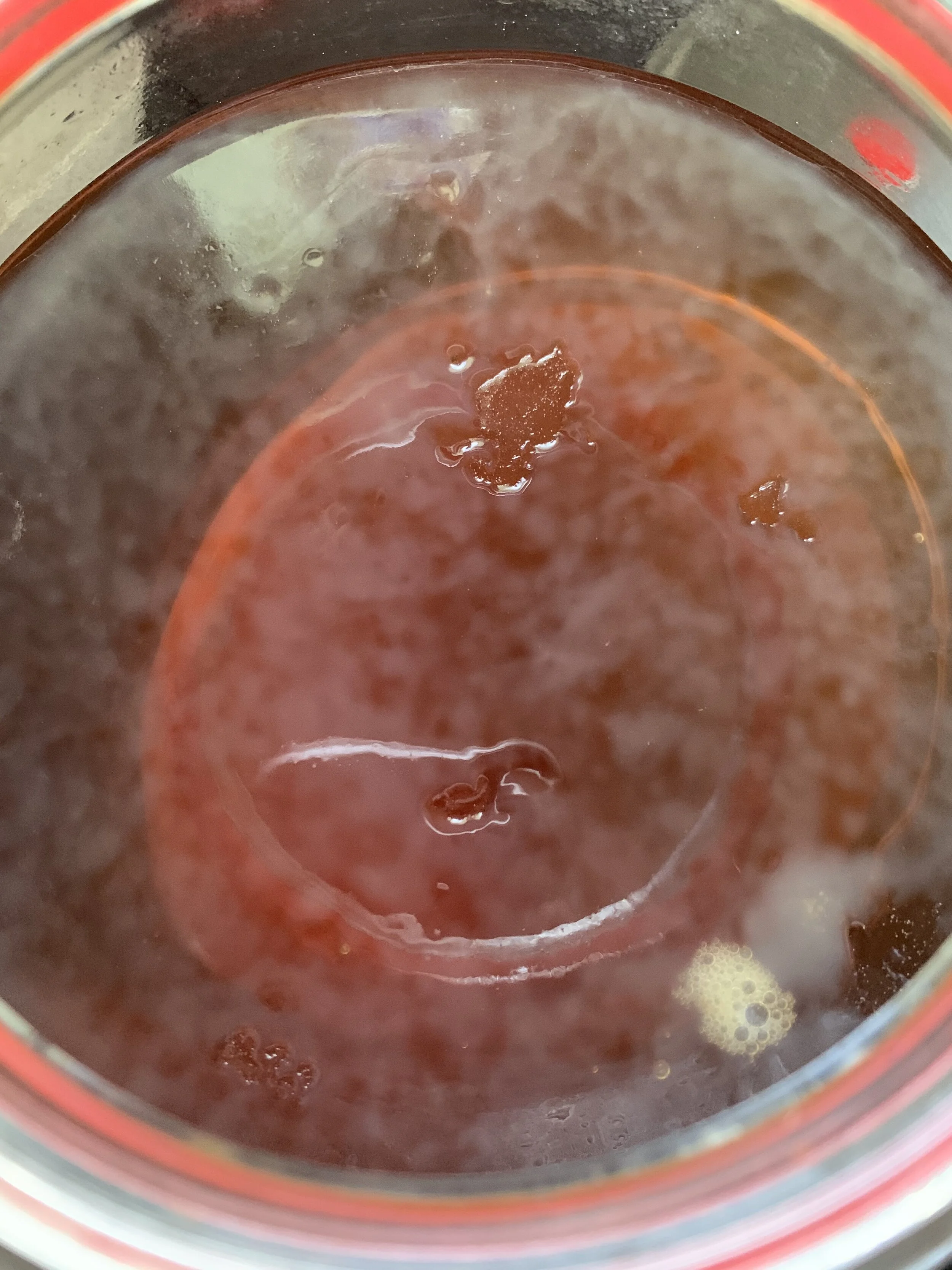 Kombucha Scoby Baby