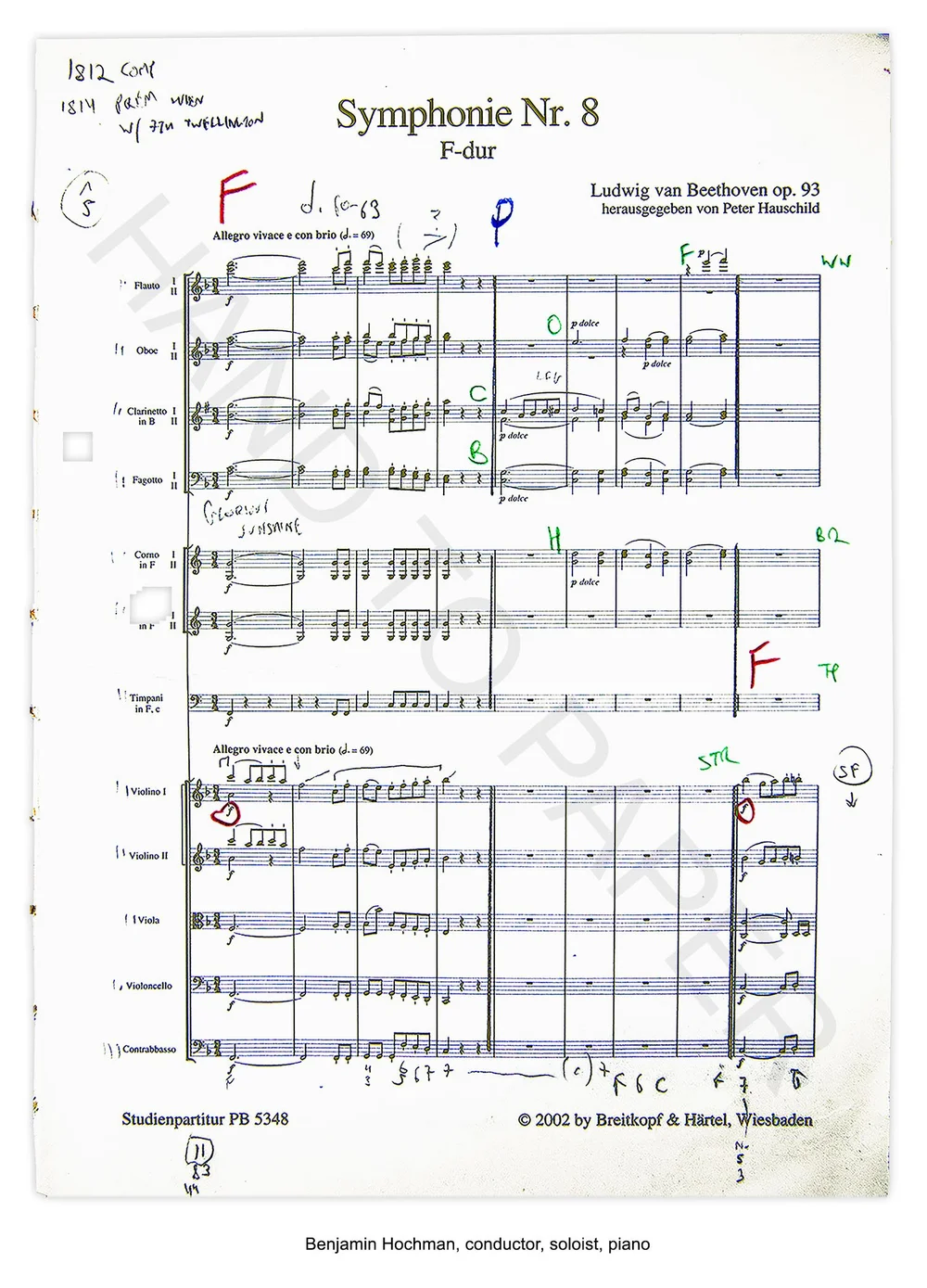 Hochman — The Mind to Music Project