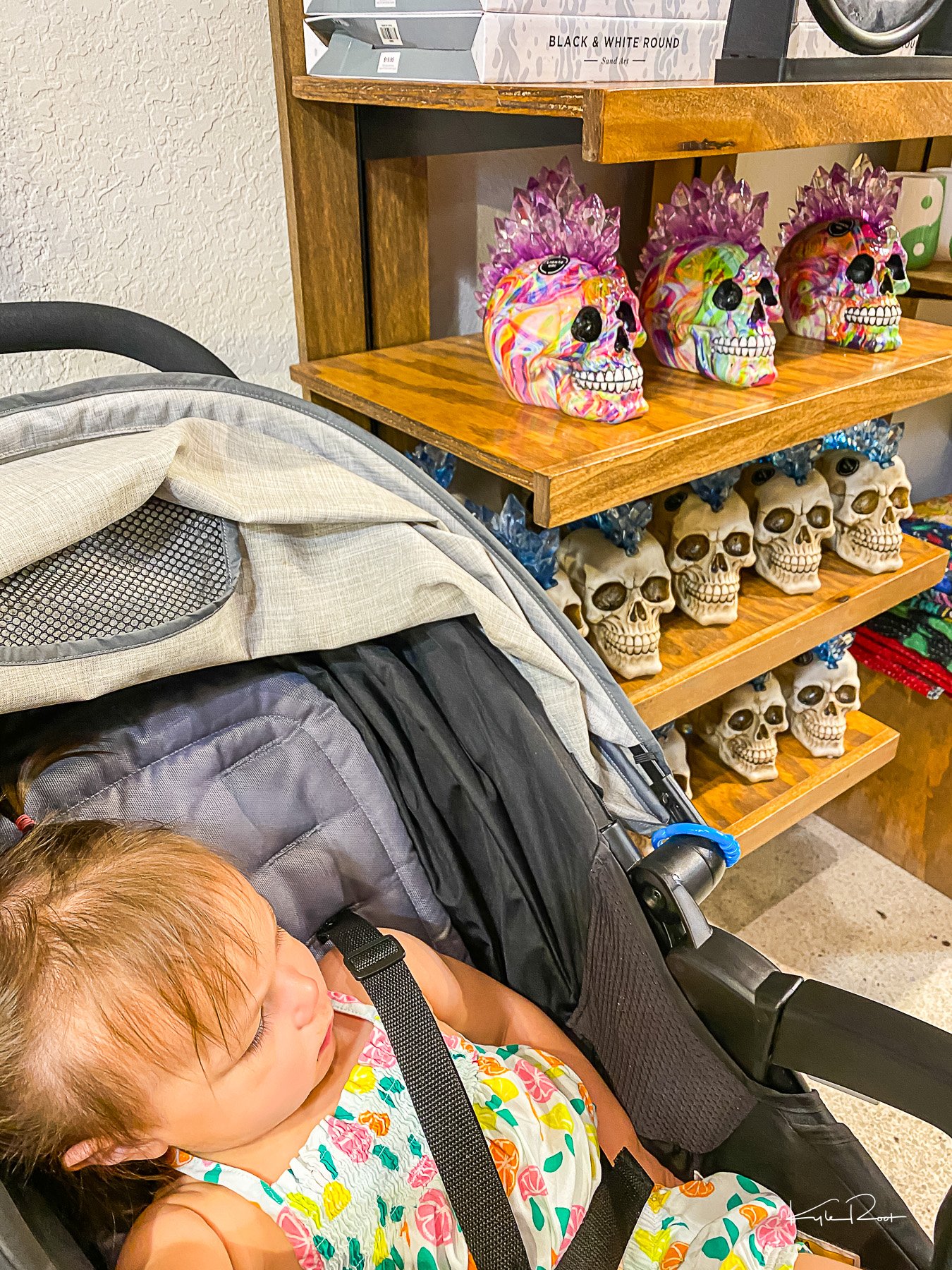 St. Augustine Florida, Photo Blog May 2023 — Decatur AL Wedding Photo ...