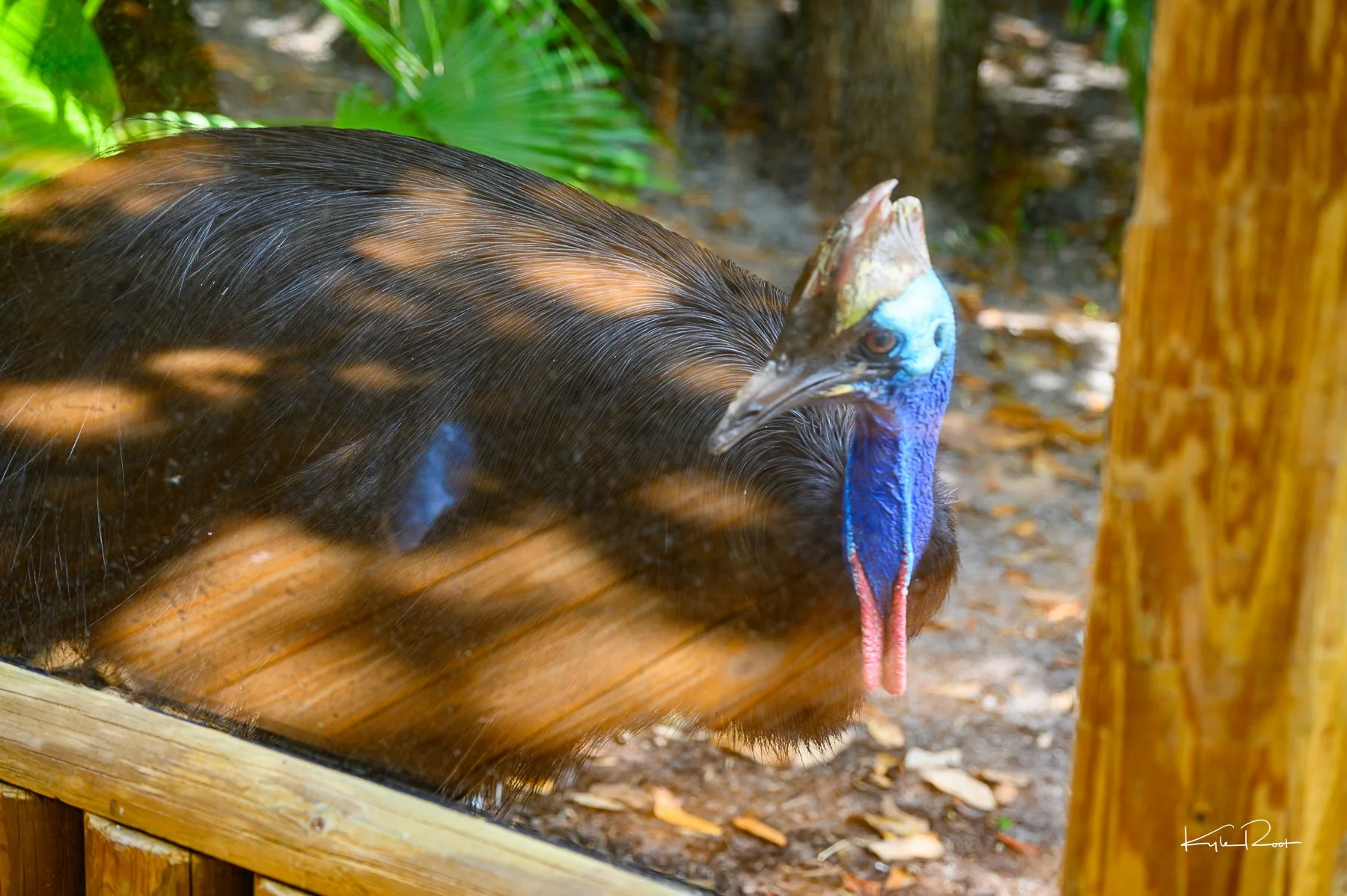 St. Augustine Florida, Photo Blog May 2023 — Decatur AL Wedding Photo ...