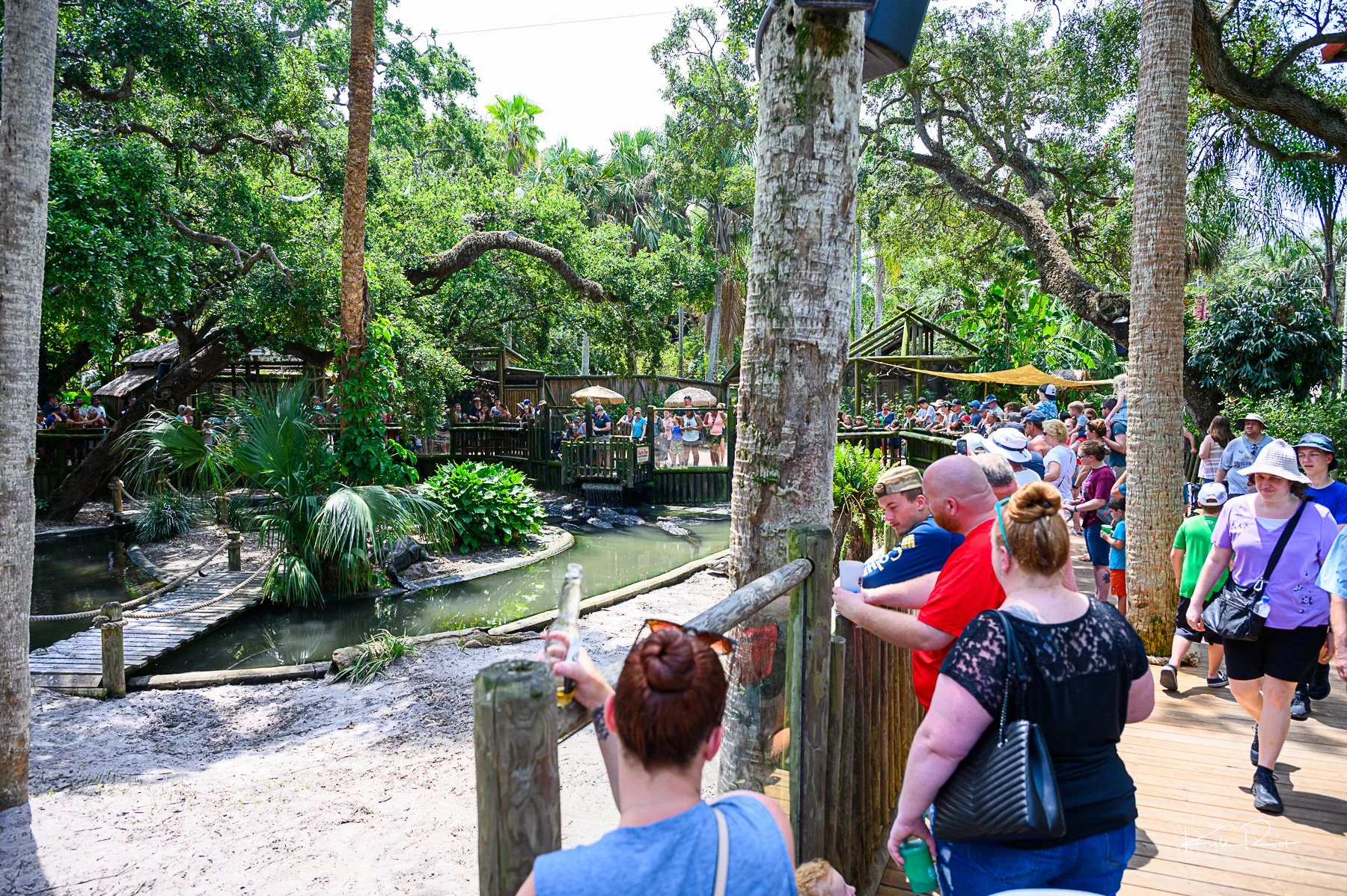 St. Augustine Florida, Photo Blog May 2023 — Decatur AL Wedding Photo ...