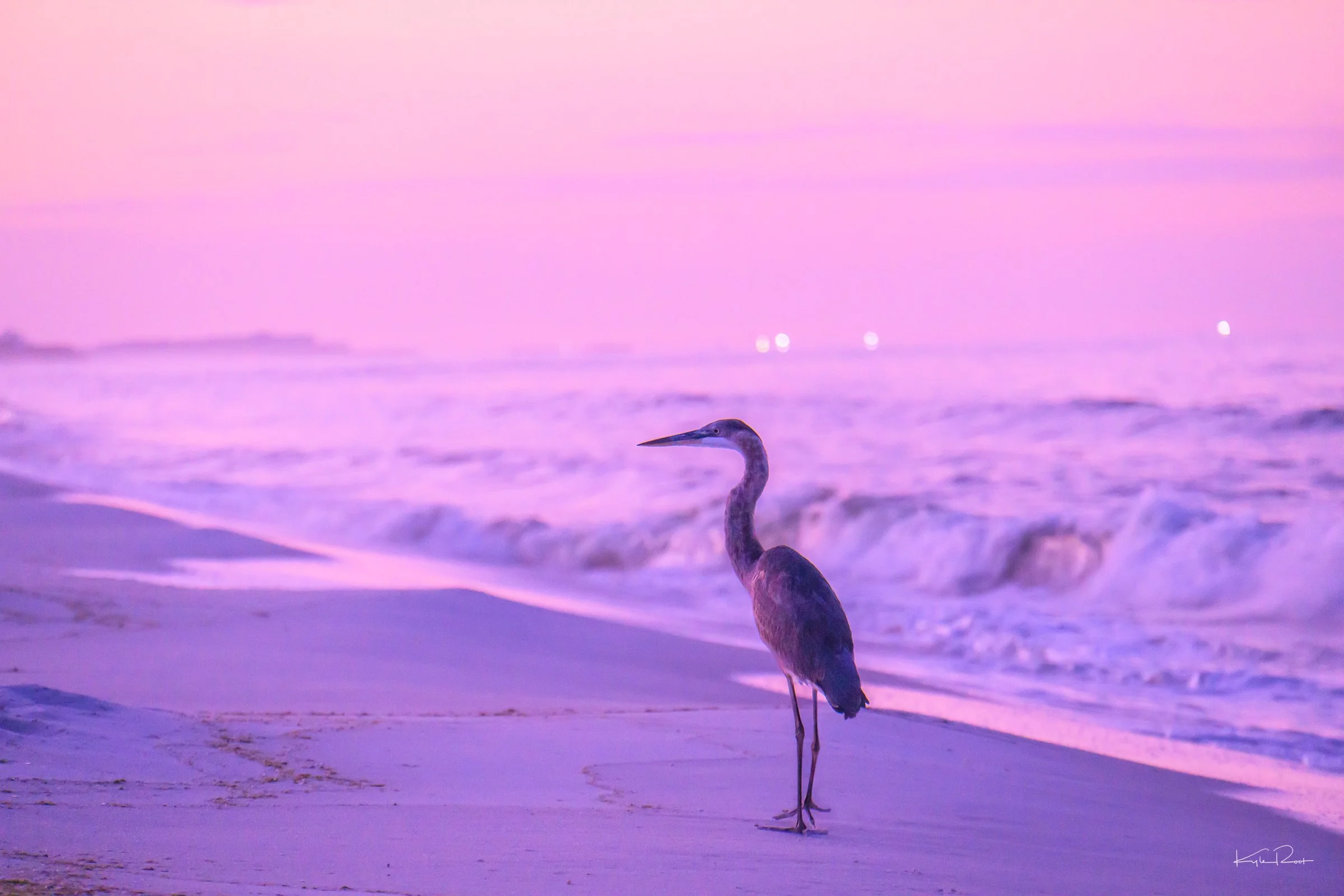 Destin West Beach and Bay Resort, 2024 Review — Decatur AL Wedding ...