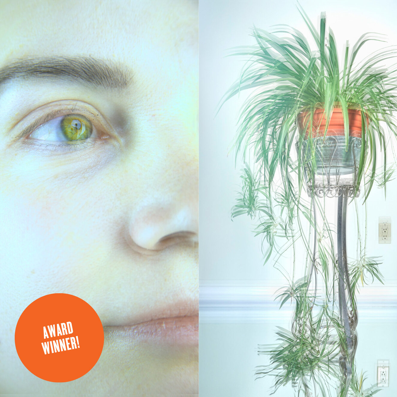 Sheridan Honours Bachelor of Photography Graduate Showcase