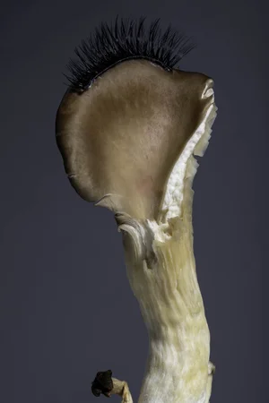 Kate Cormier — Sheridan Photography GRADWORK