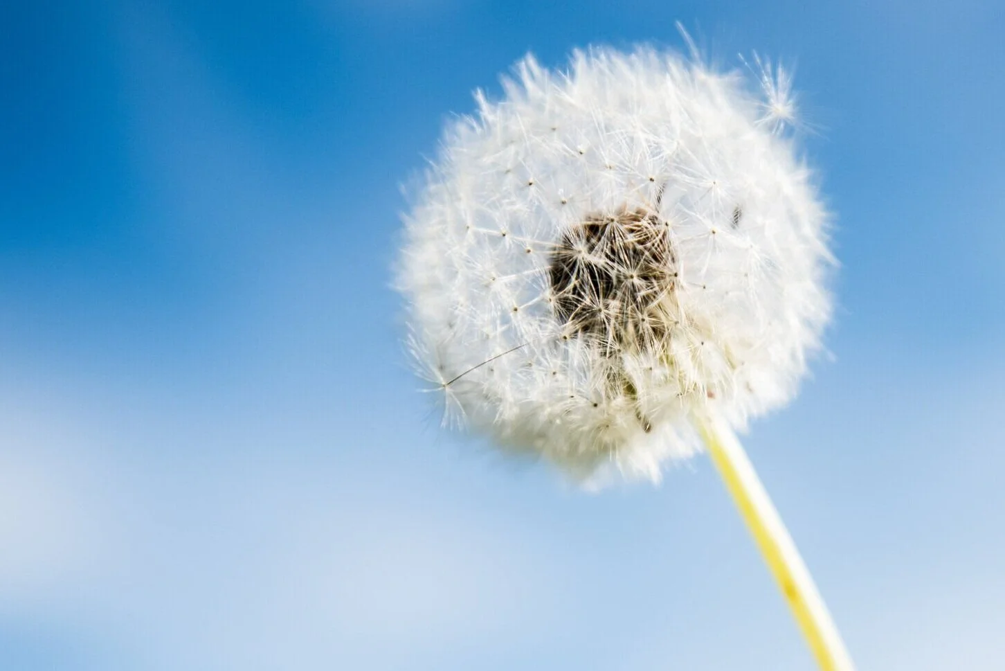 Contact — Niagara Region Medical