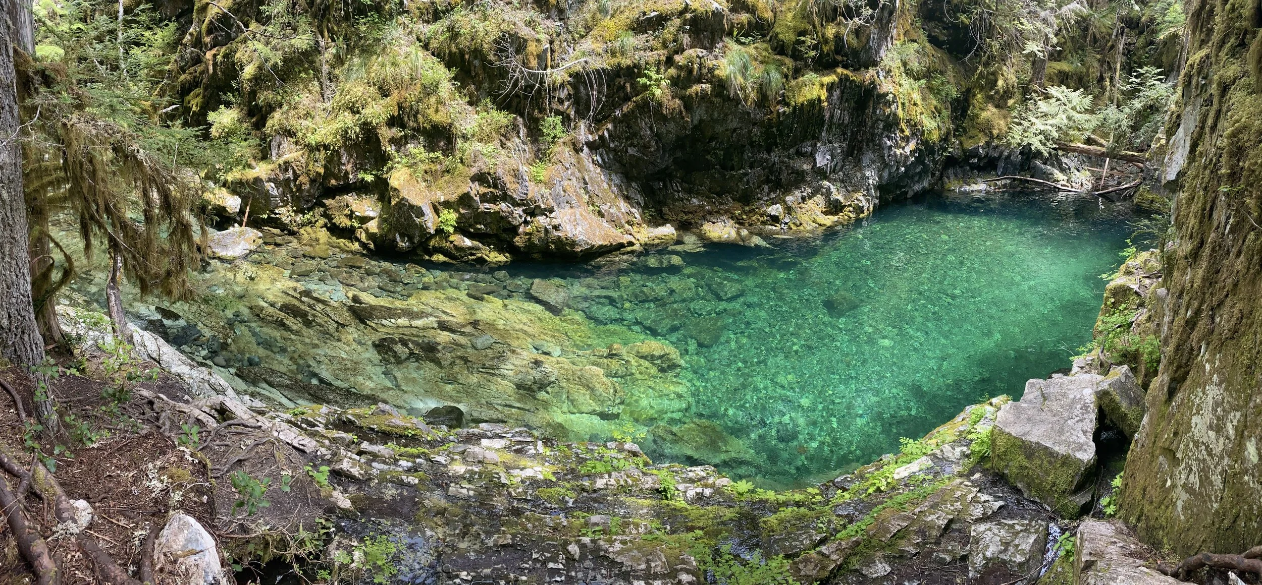 Opal Creek Hike Oregon