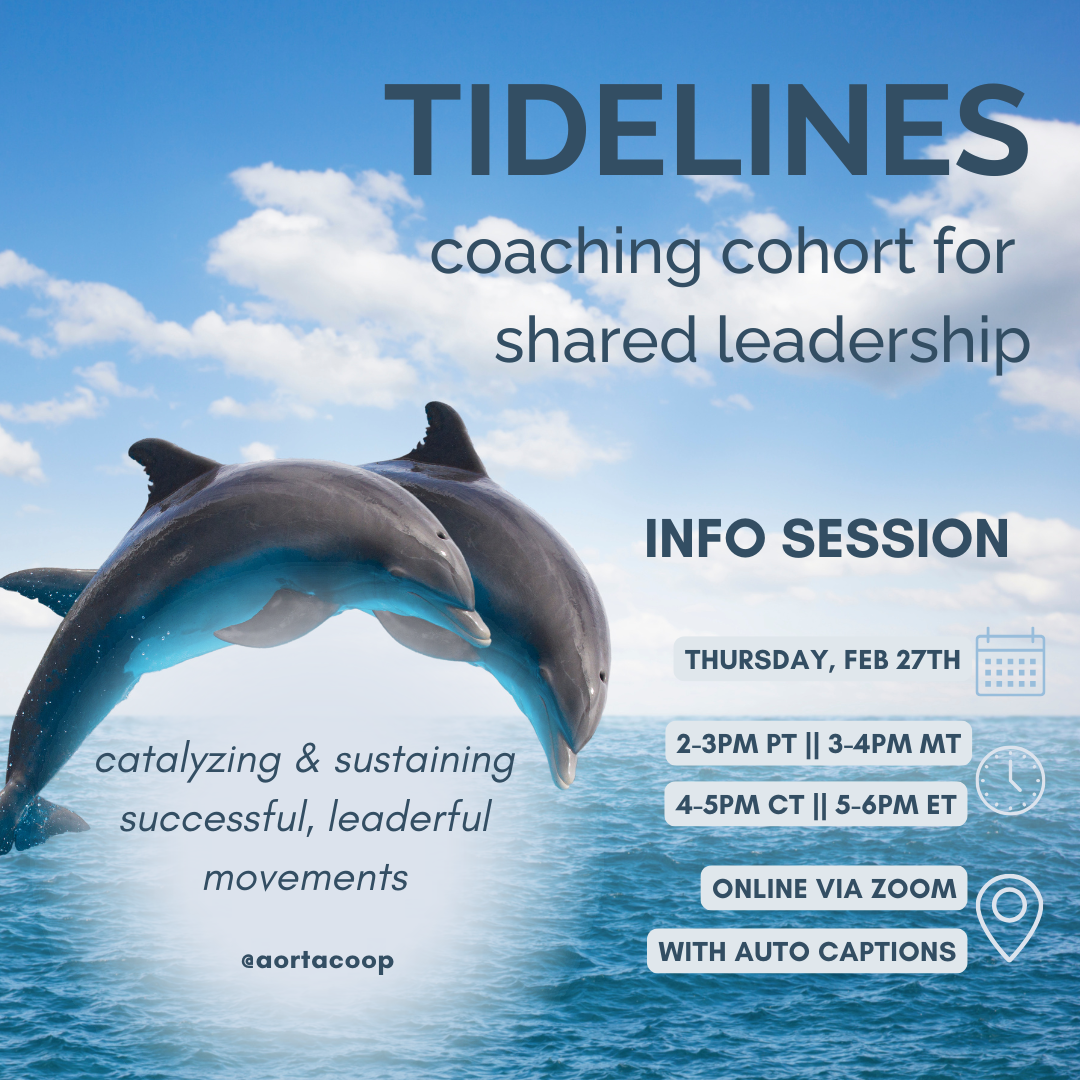 Tidelines: Shared Leadership Coaching Cohort — A O R T A