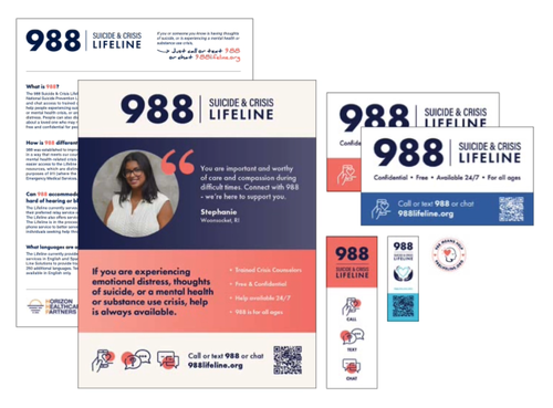 988 — Horizon Healthcare Partners