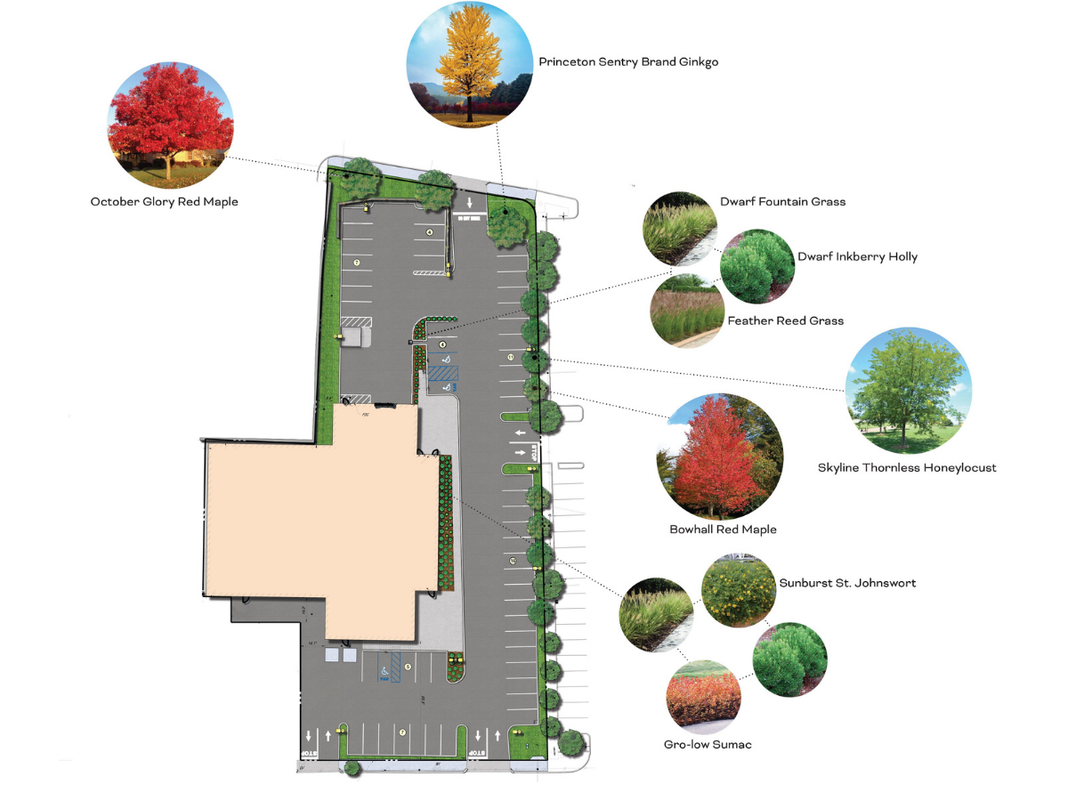Dispensary Special Permitting — Tact & Grit Design Co.
