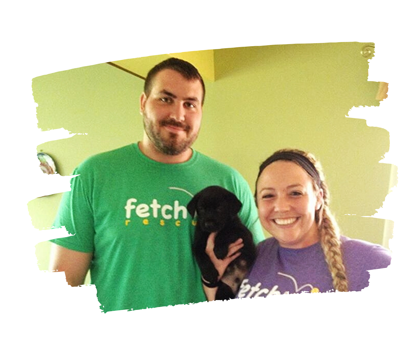 Volunteer — Fetch Wisconsin Rescue