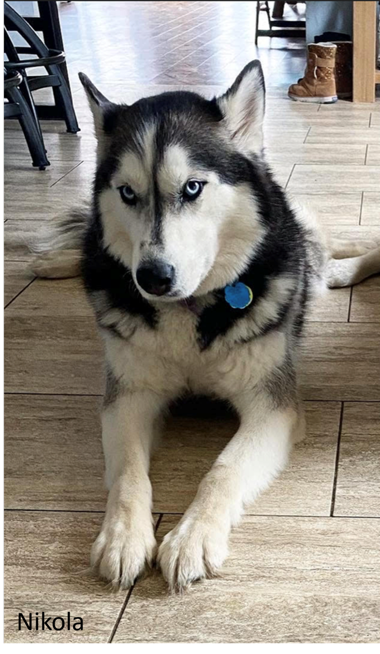 Adopt — Fetch Wisconsin Rescue