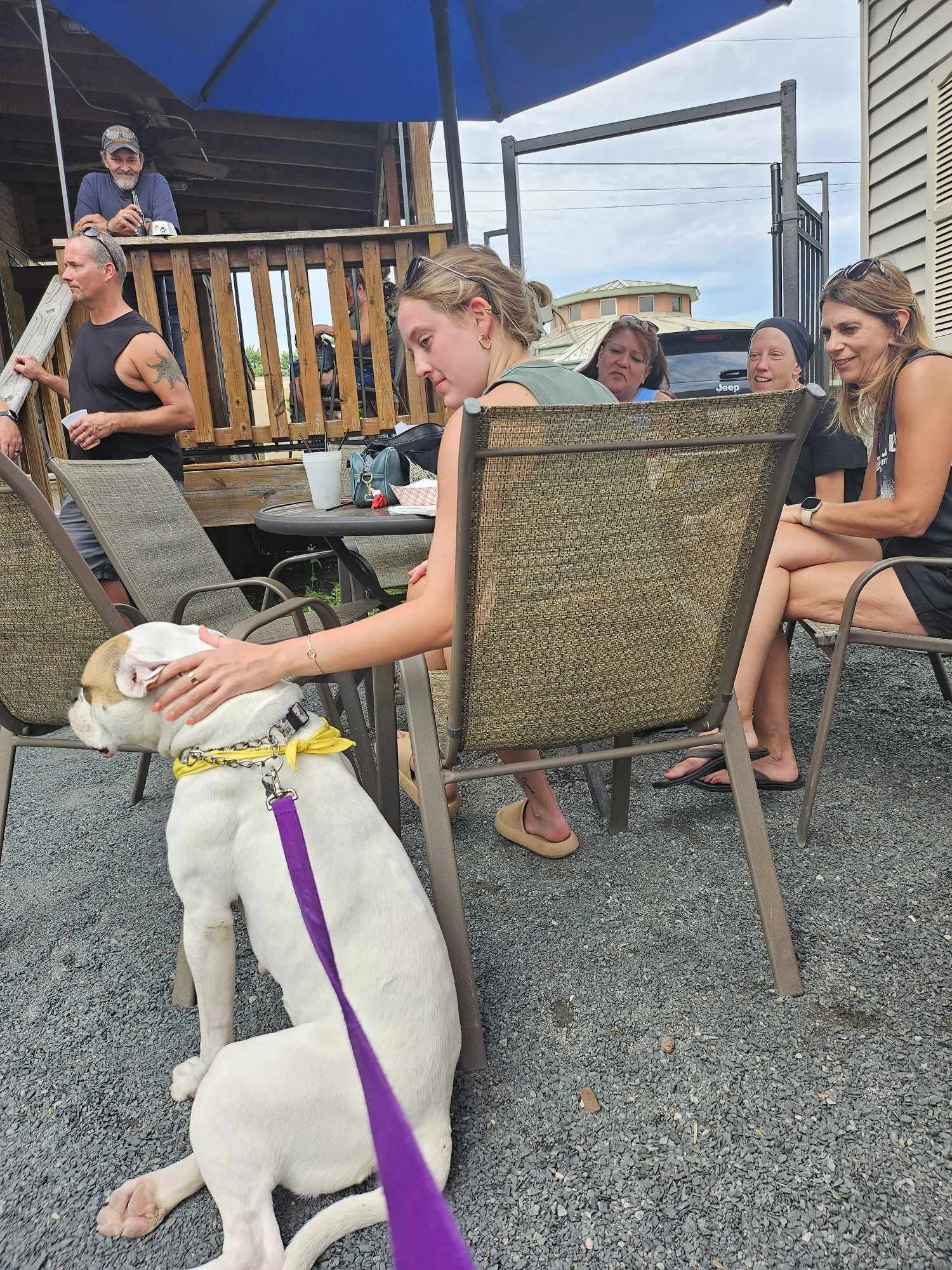 Little Debbie — Fetch Wisconsin Rescue