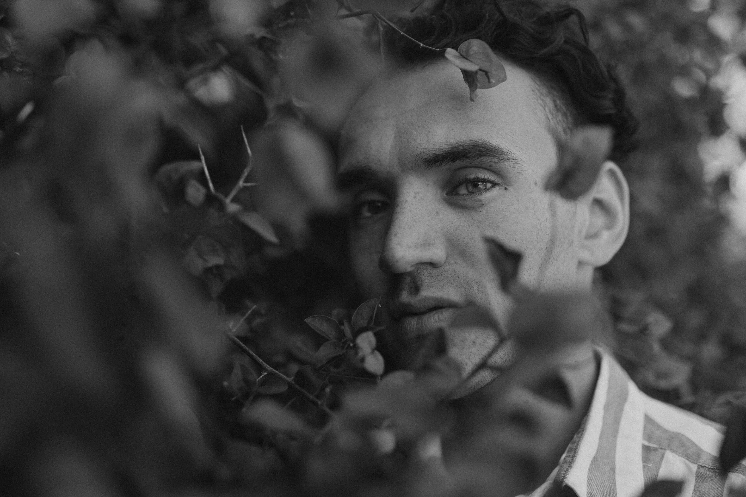 Portraits in Encinitas — Wild Zephyr Co