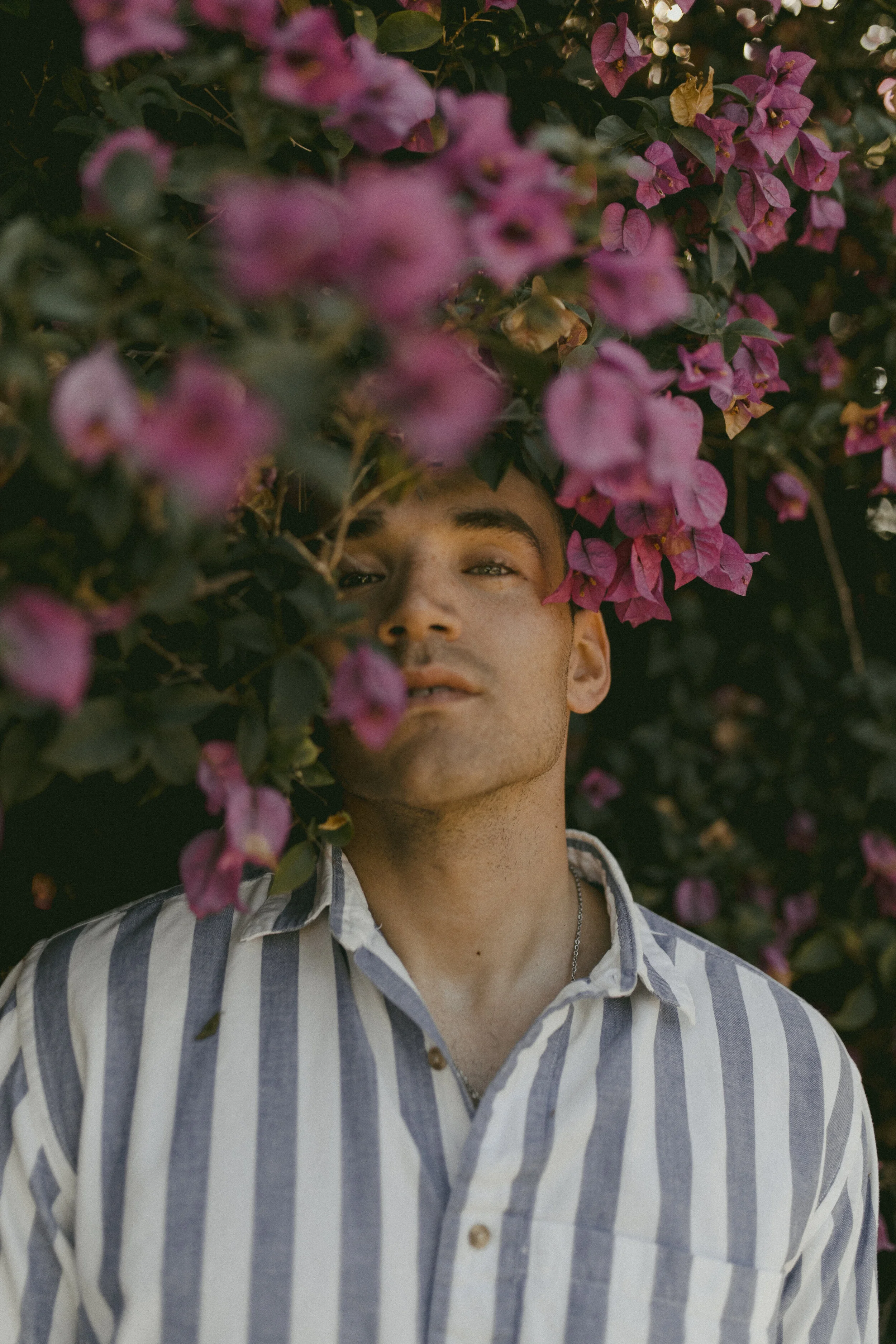 Portraits in Encinitas — Wild Zephyr Co