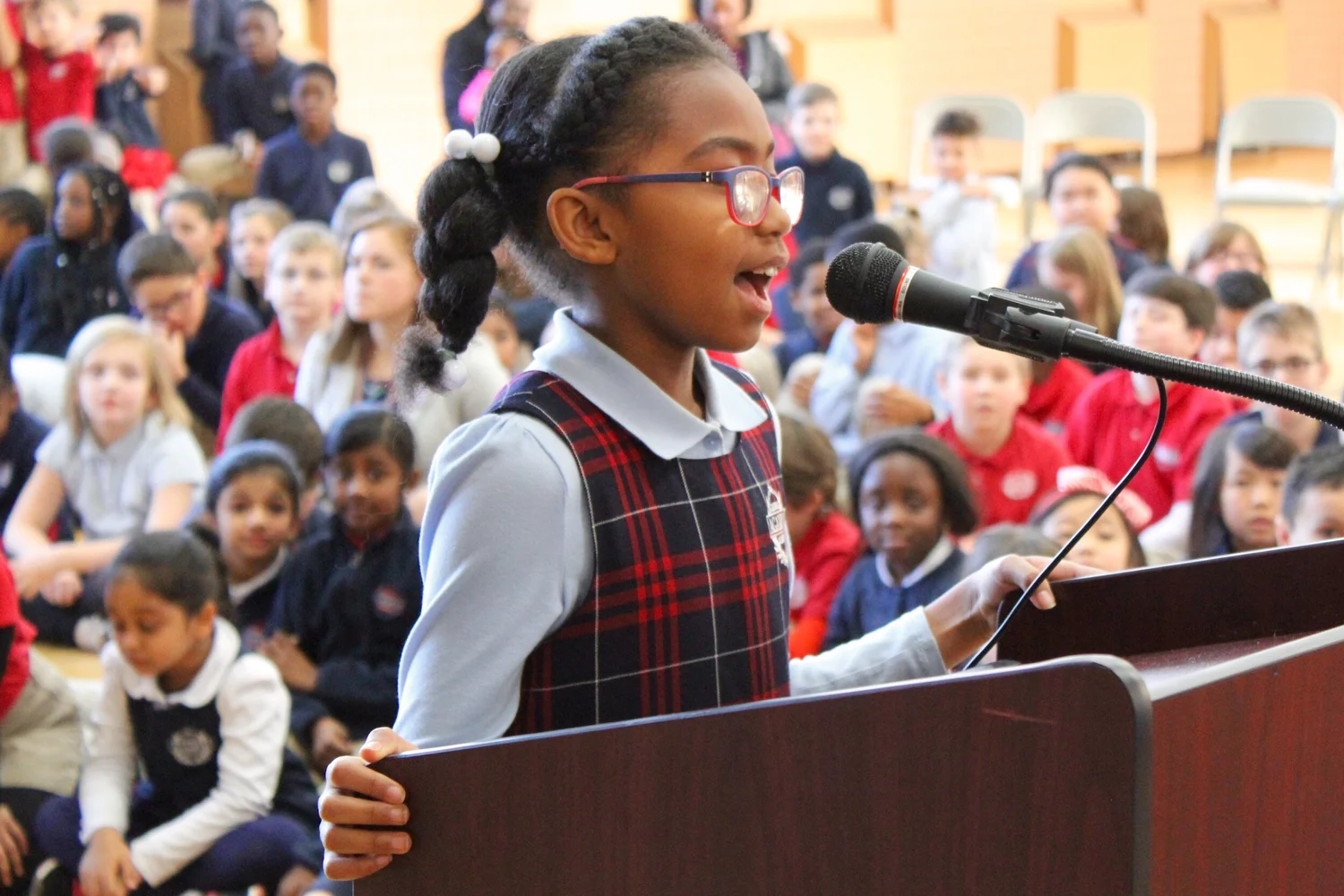 Program Overview — Agamim Classical Academy