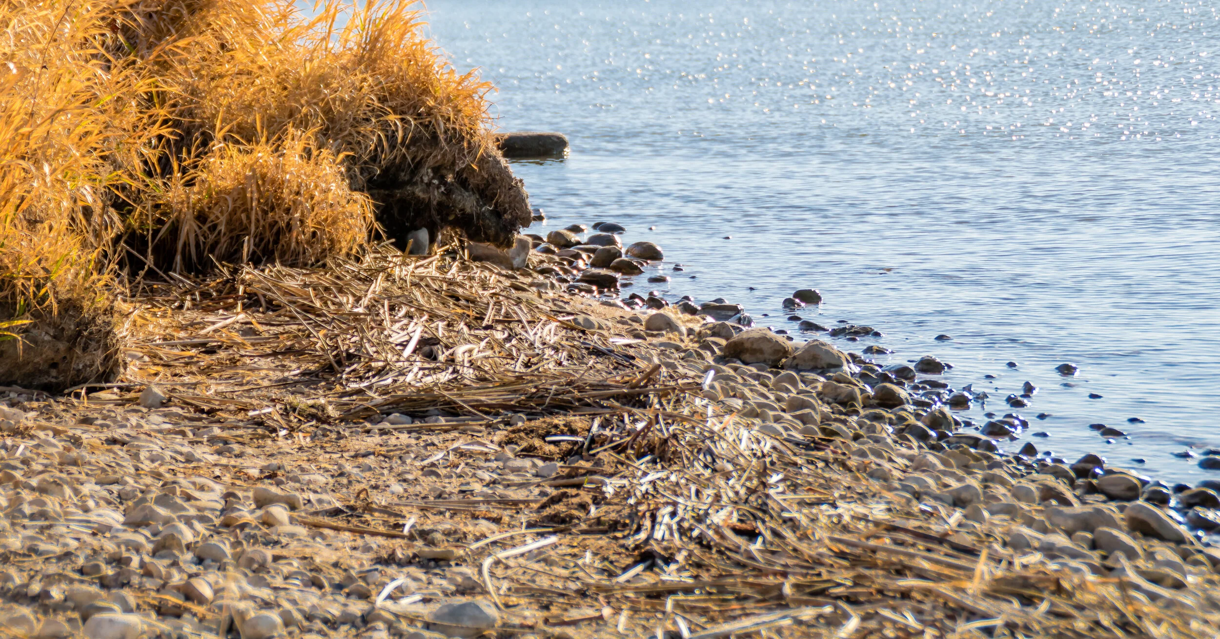 Edgewater Midstream | Home | Terminals and Pipeline Logistics