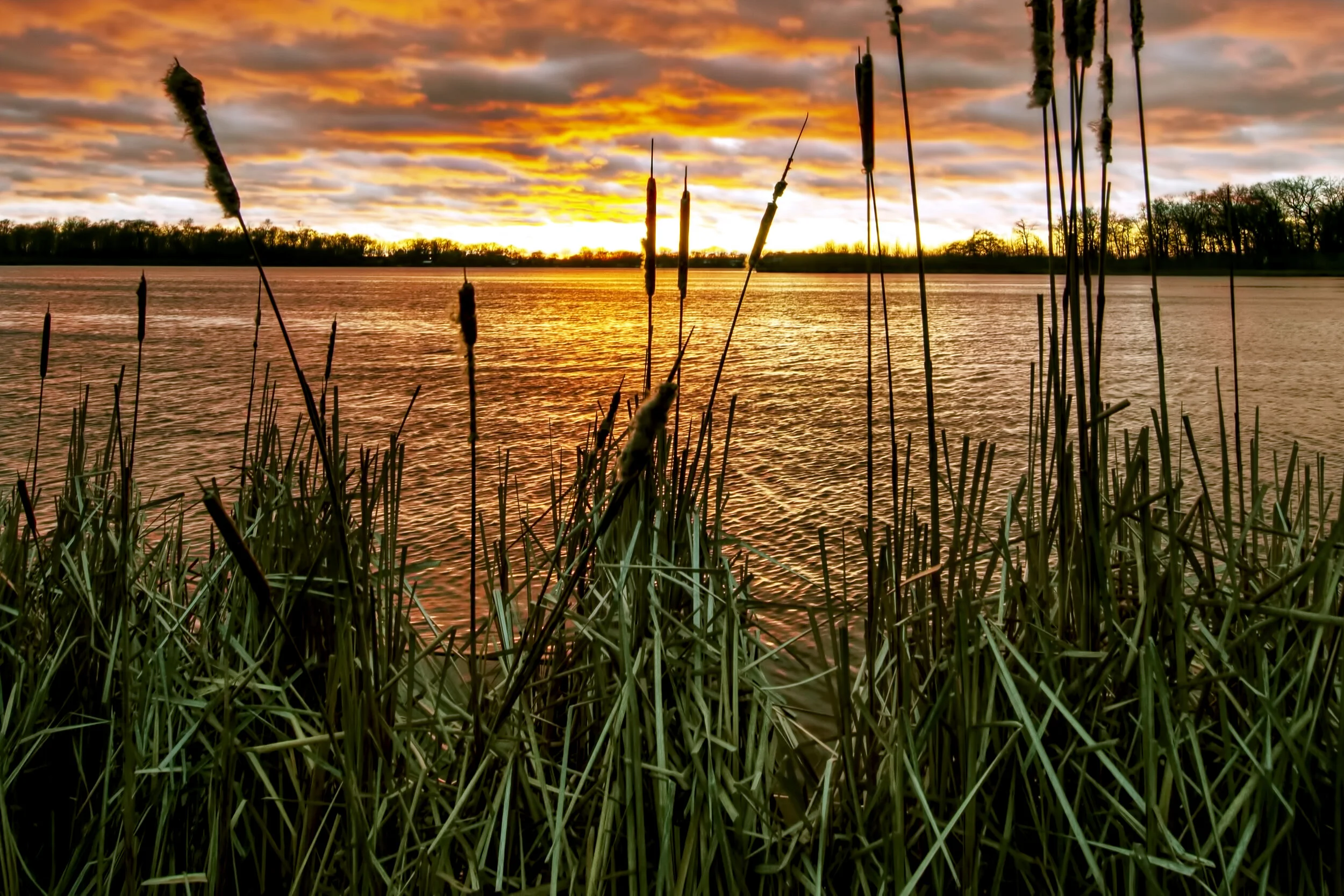 Edgewater Midstream | Environment and Safety Vision — Edgewater Midstream