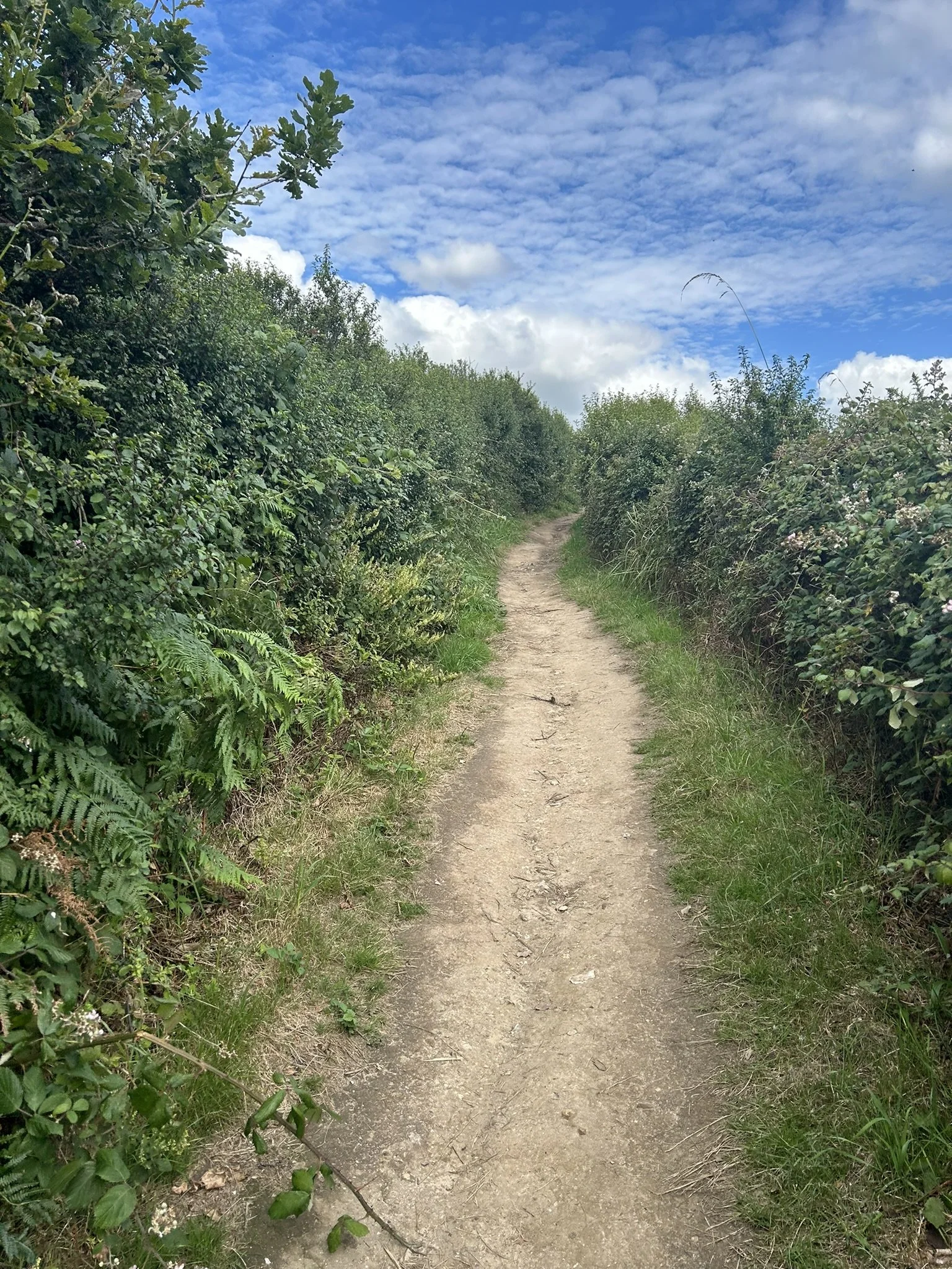 Circular Golden Cap Walk from Charmouth — Lyme Regis Stays