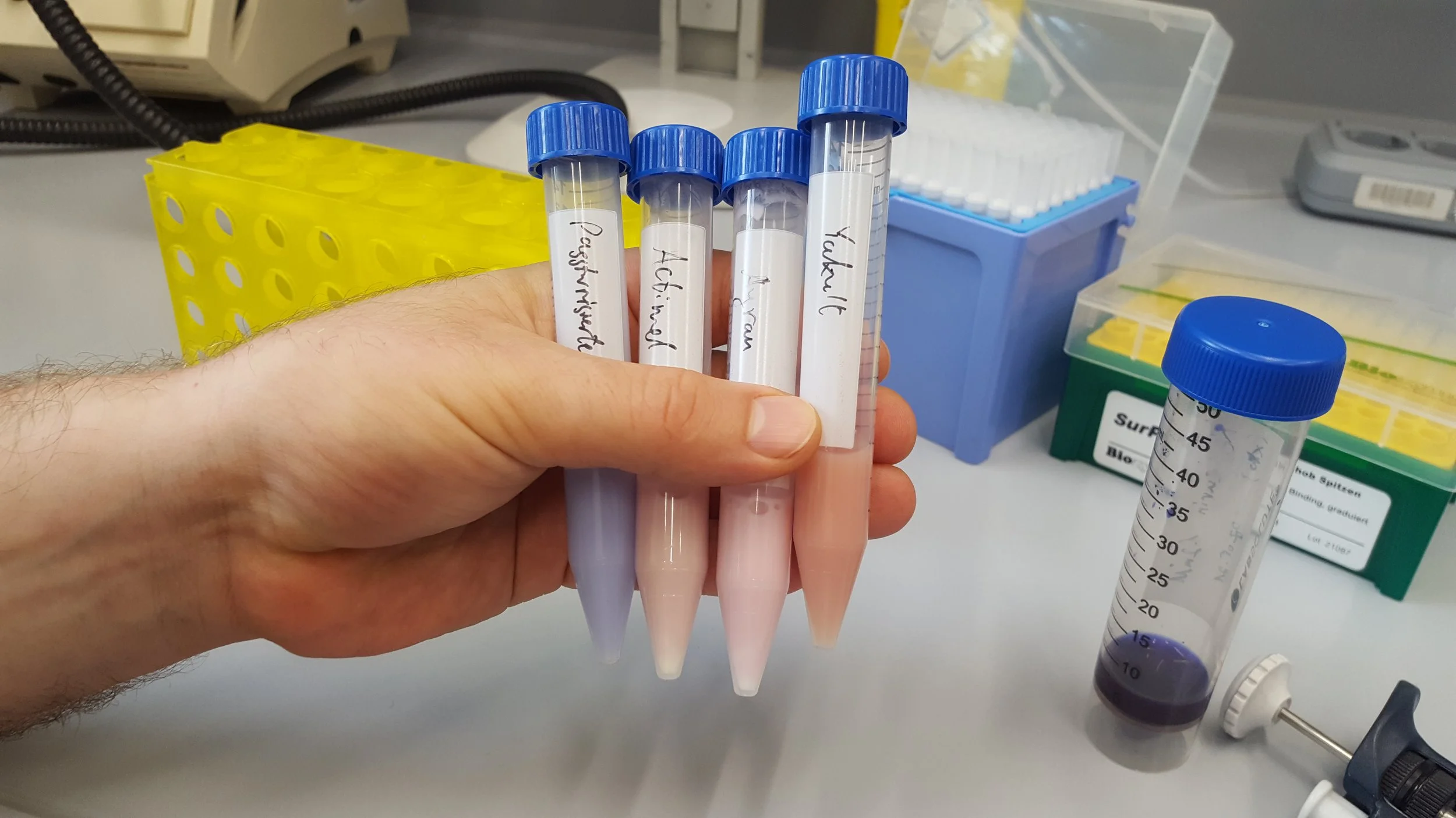 IMD in Germany — International Microorganism Day