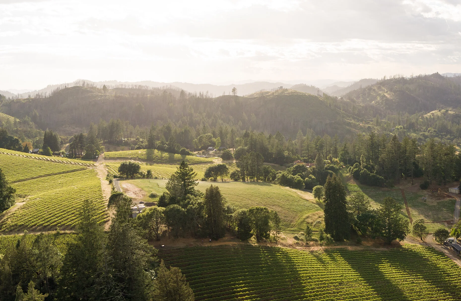 Diamond Mountain — Richard Beard Architects