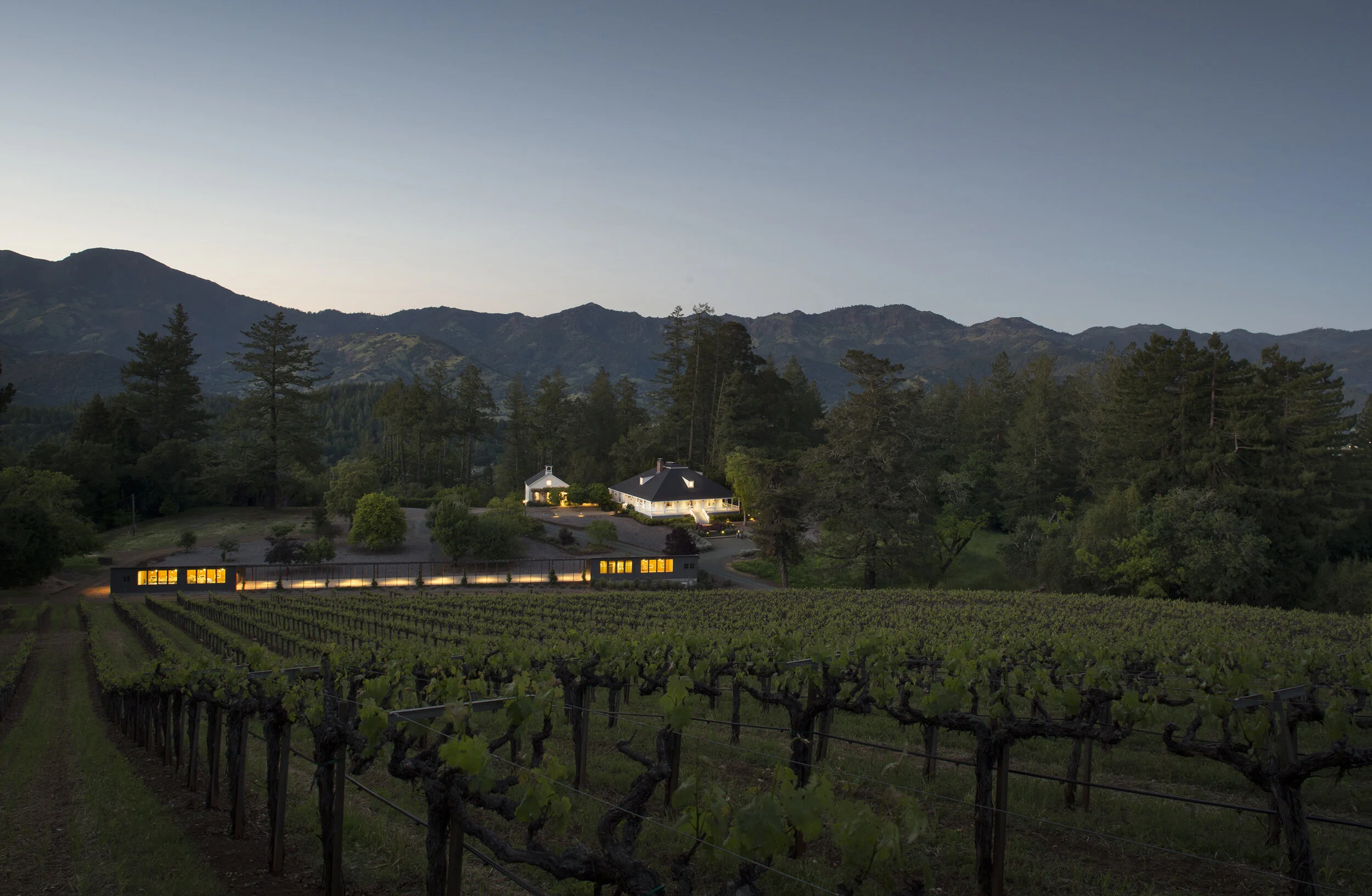 Richard Beard Architects