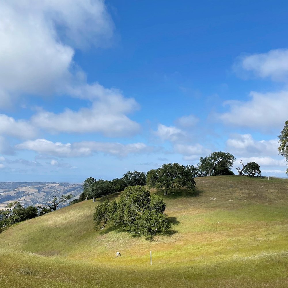 High Meadow Ranch — Richard Beard Architects