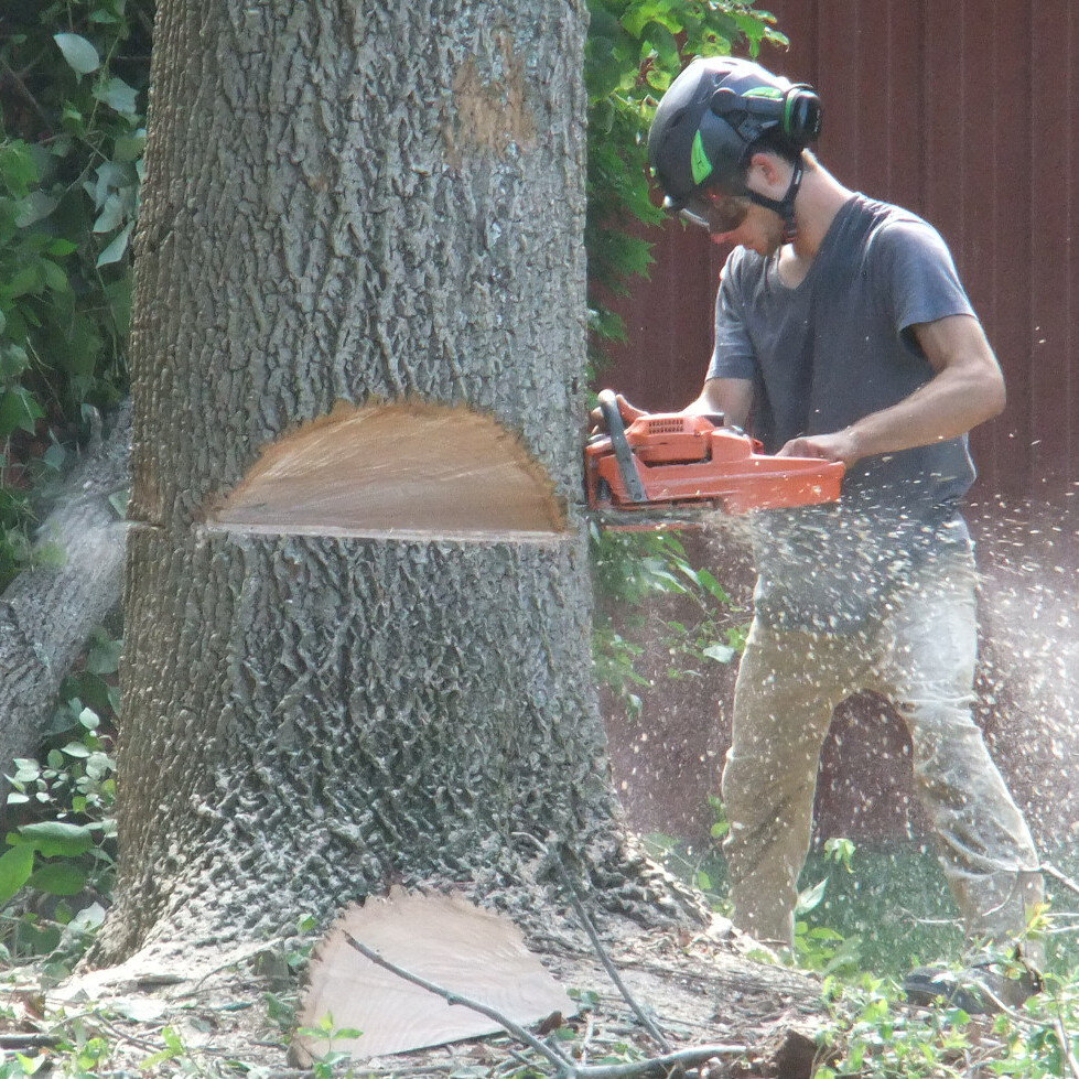 Cardinal Landscaping & Tree Service